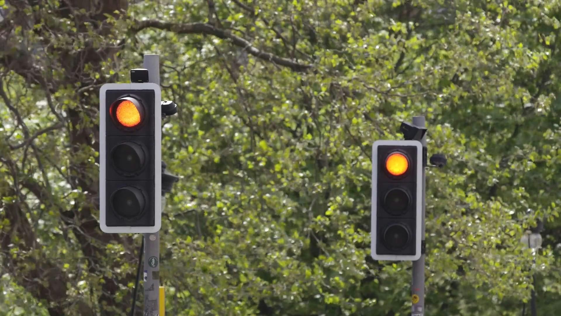 Street Stoplight Free Stock Video Footage, Royalty-Free 4K & HD Video Clip