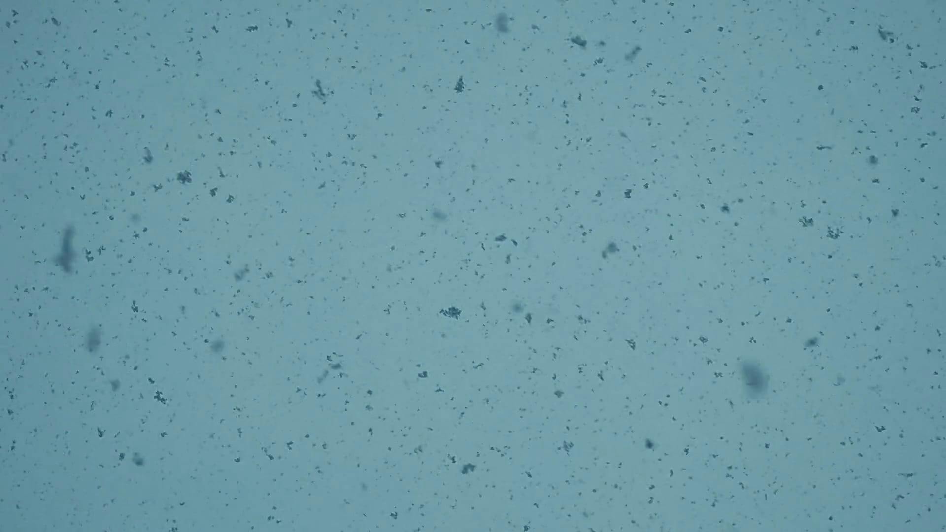 Subtle Particle Background Videos, Download The BEST Free 4k Stock ...