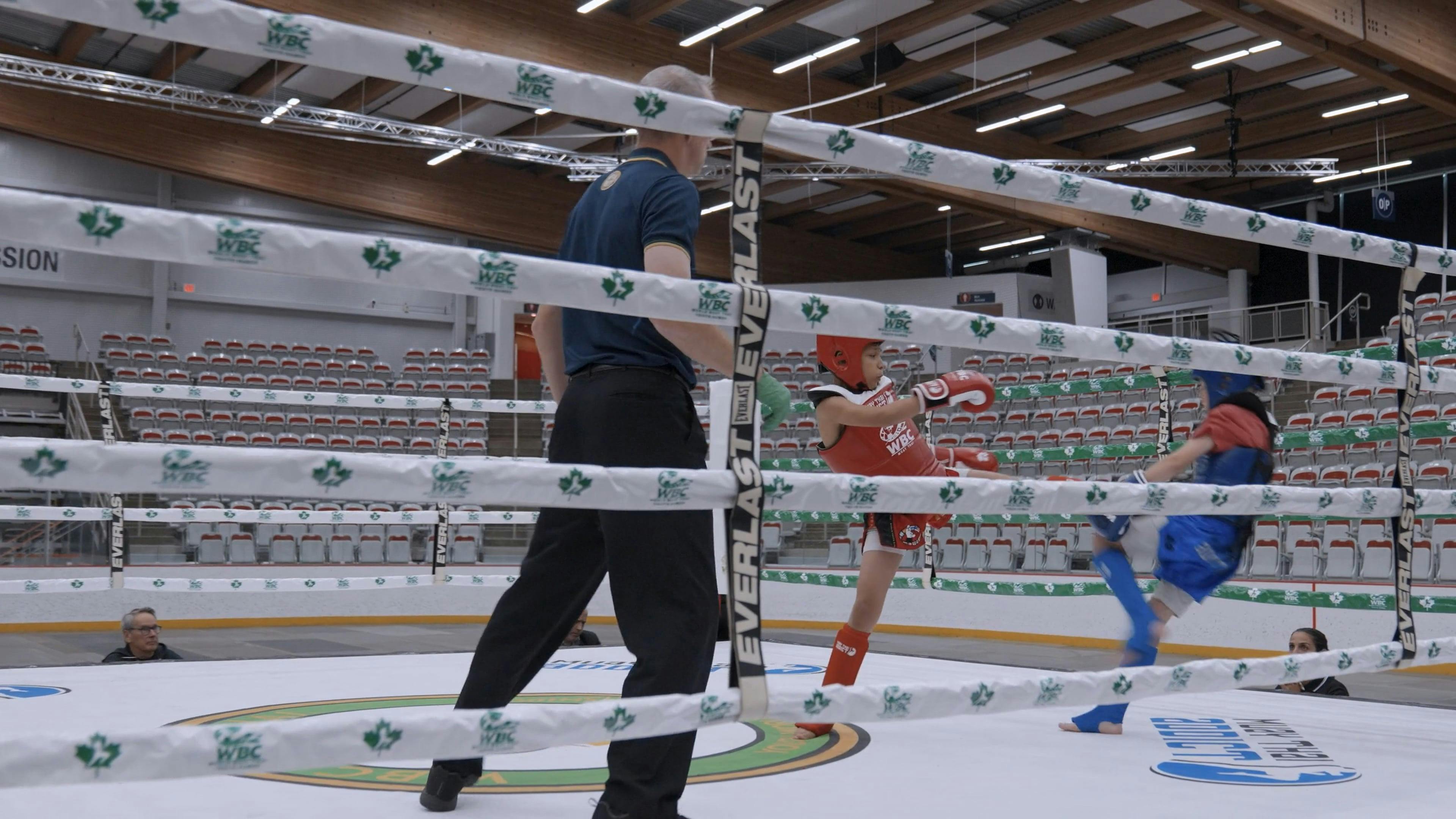 Referee Boxing Videos, Download The BEST Free 4k Stock Video Footage ...