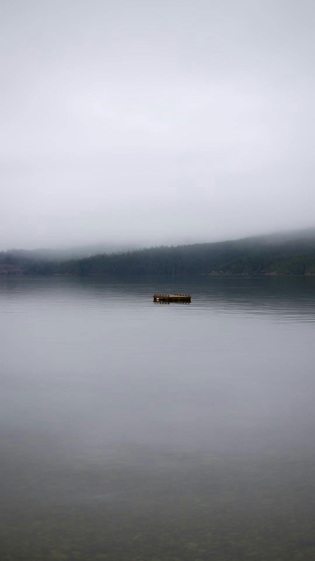 Swan Birds Floating Motionless On A Lake Surface Free Stock Video ...