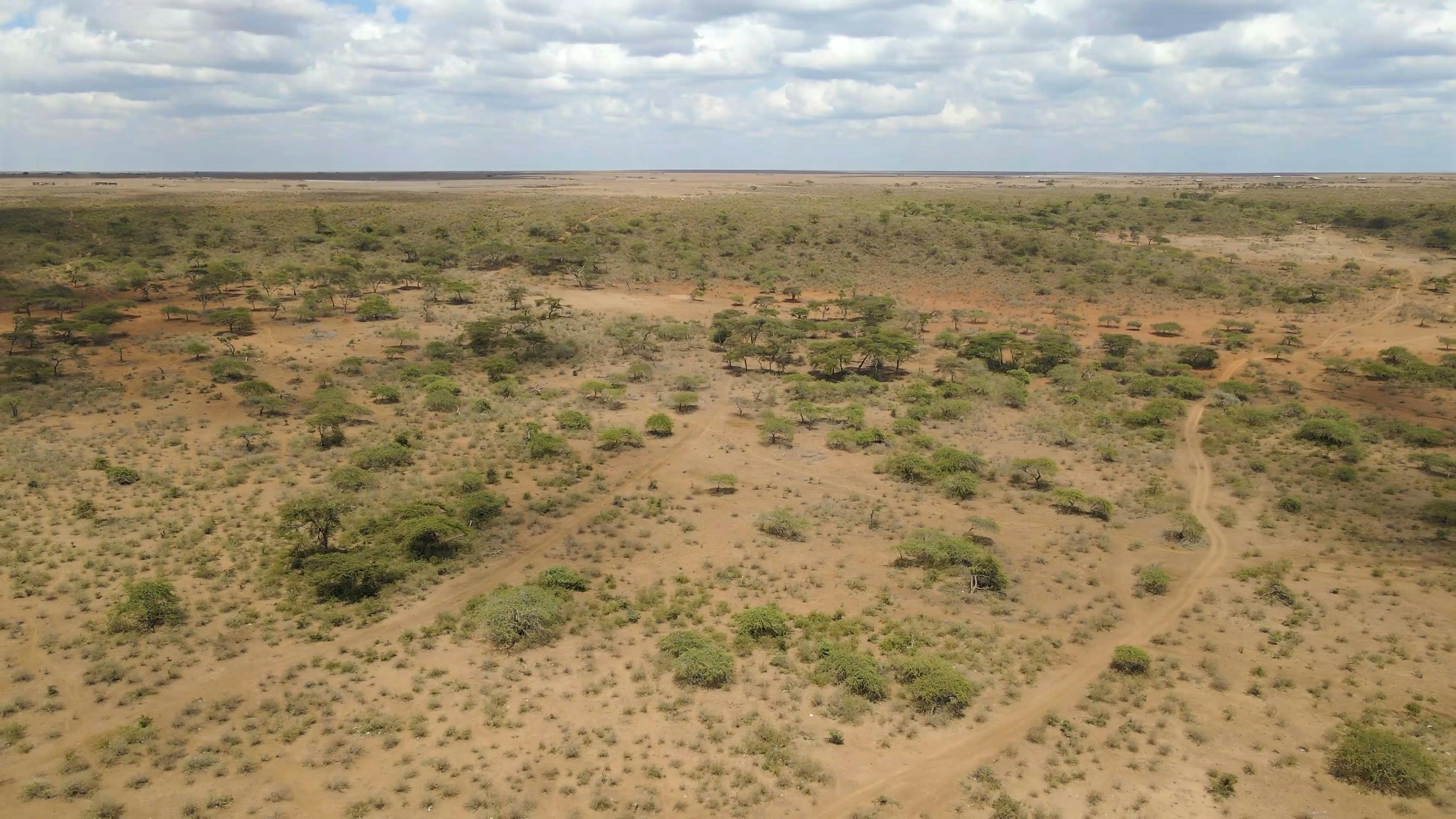 Drone Footage of a Dryland in Kenya, Africa Free Stock Video Footage ...
