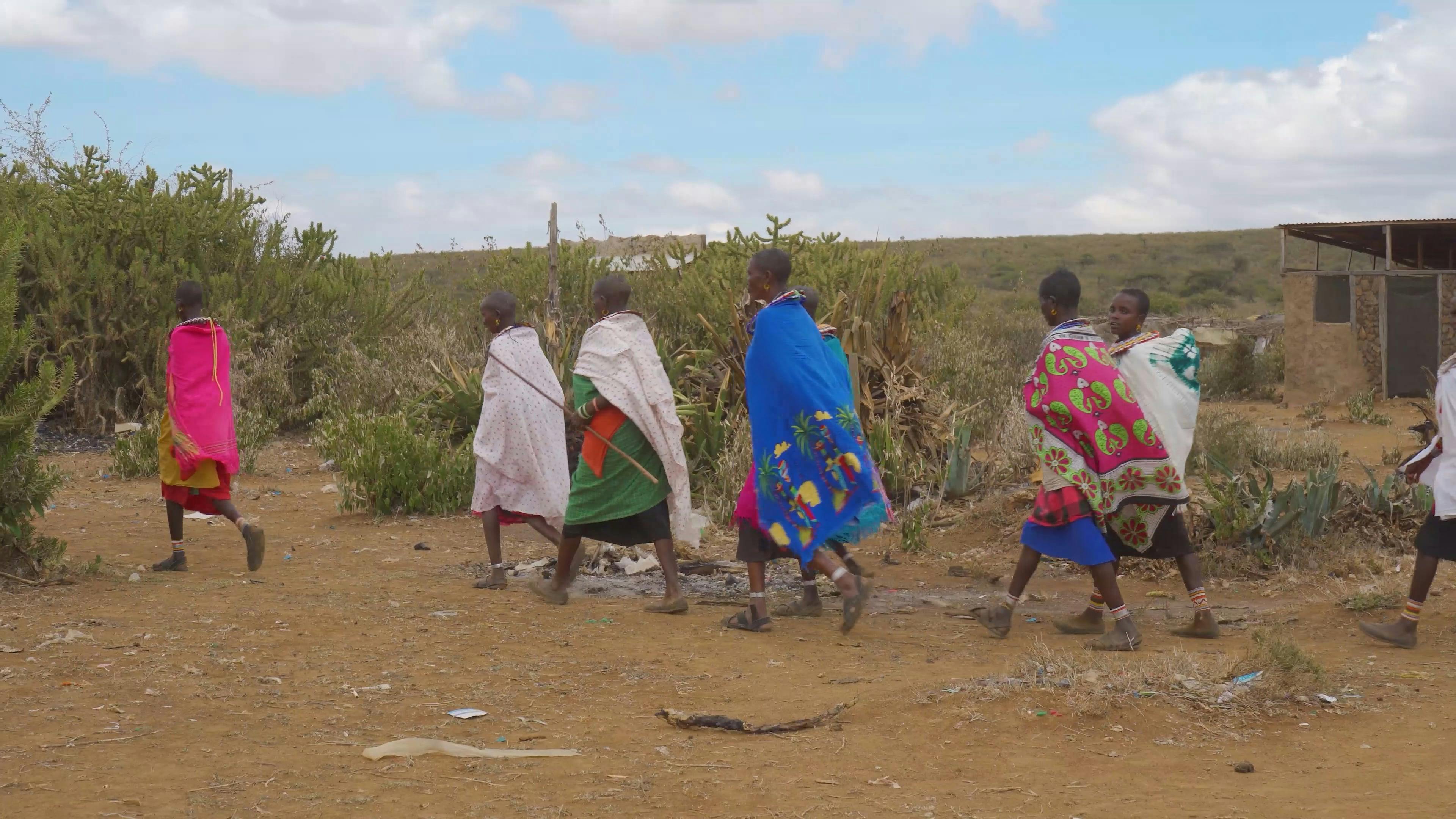 8+ Vidéos De Famine Libre de Droit, Clips Vidéo de Famine en 4K et HD