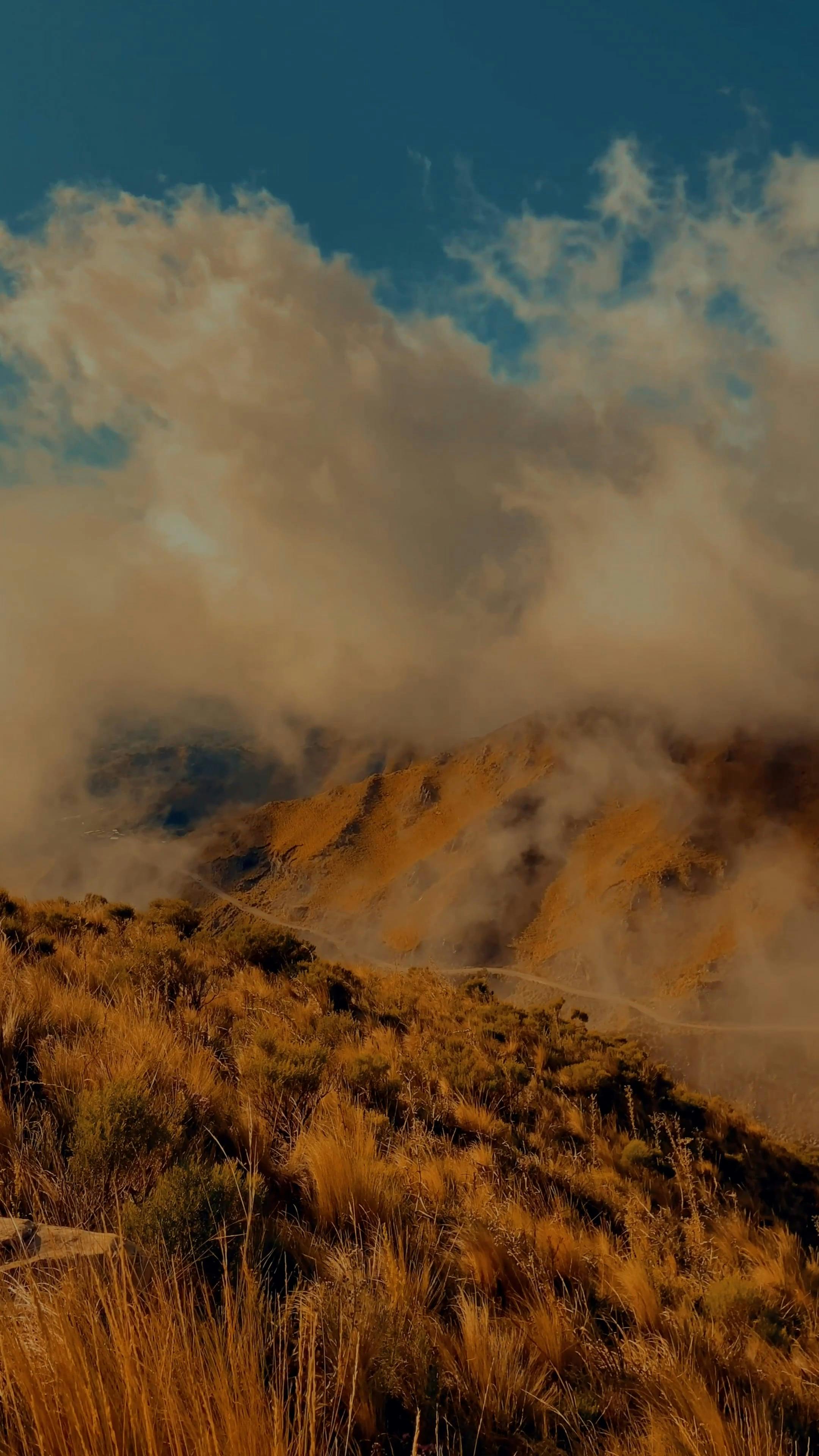 Sebastián Godoy - 摄影