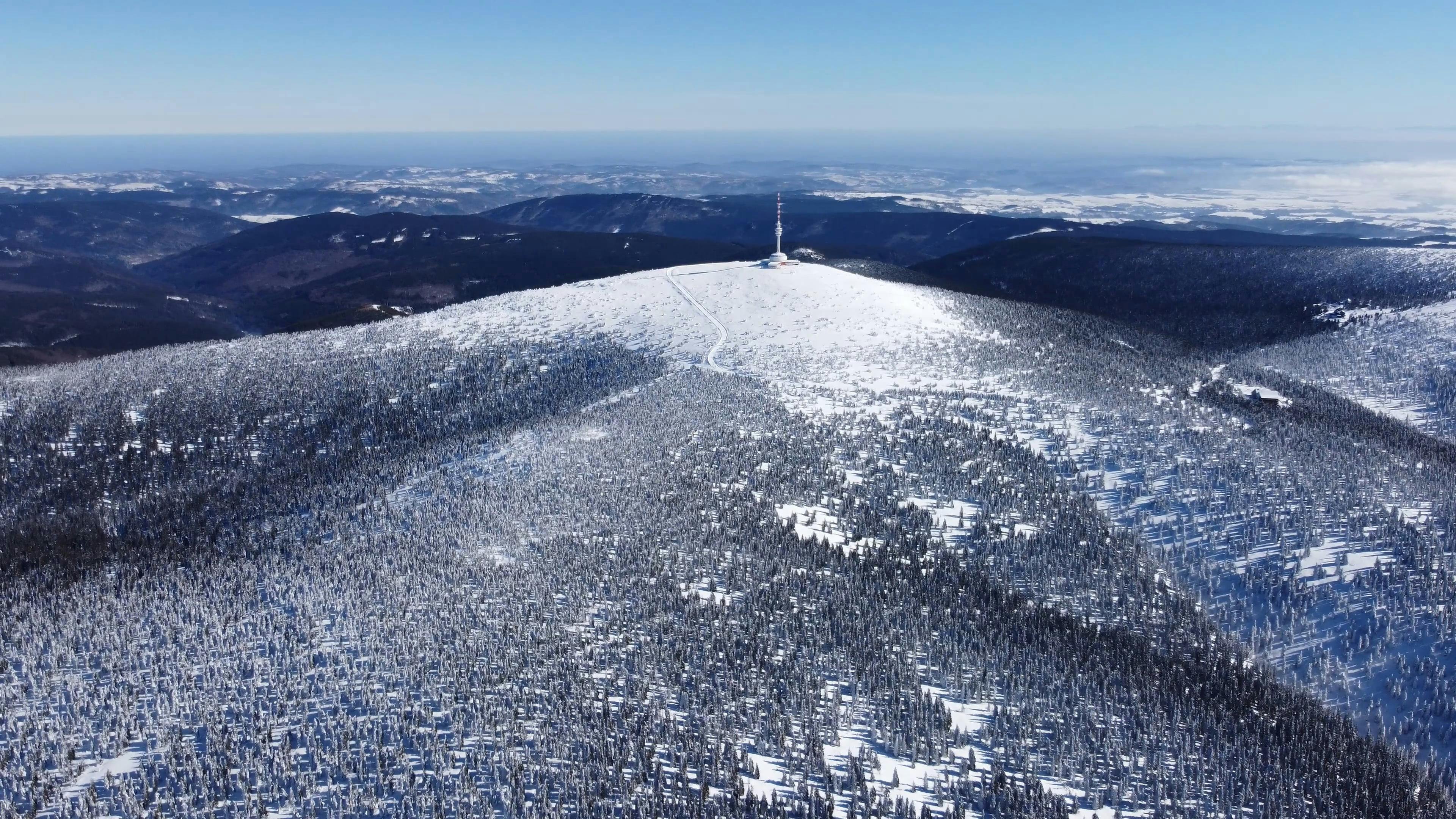 2400px Wide By 600px High Cats Videos, Download The BEST Free 4k Stock ...