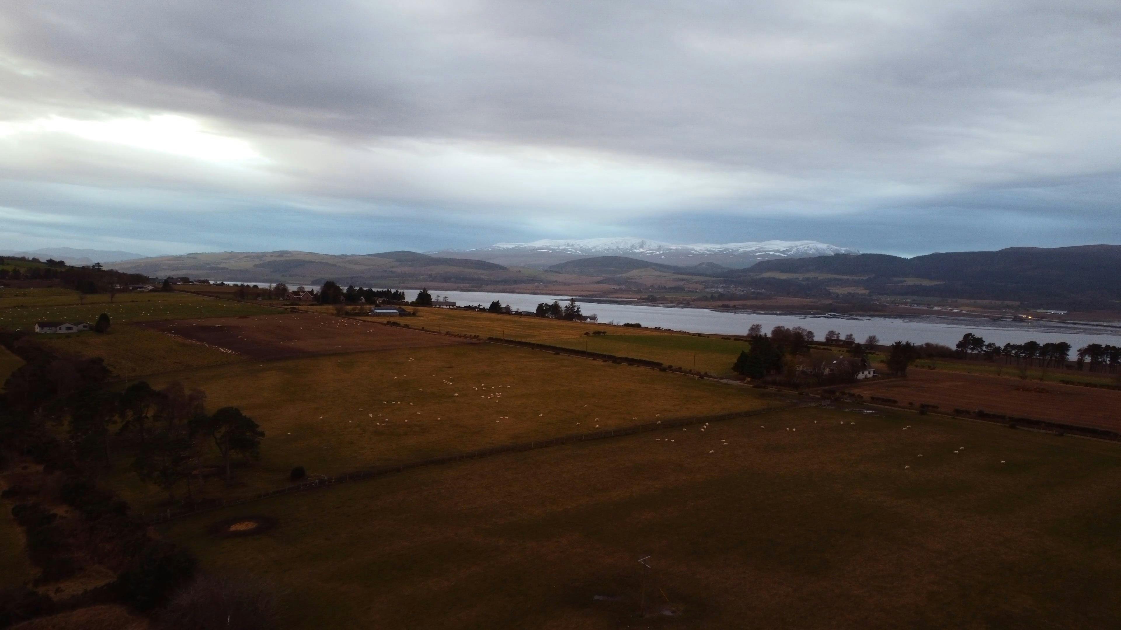 Sea Sheep Videos, Download The BEST Free 4k Stock Video Footage & Sea ...