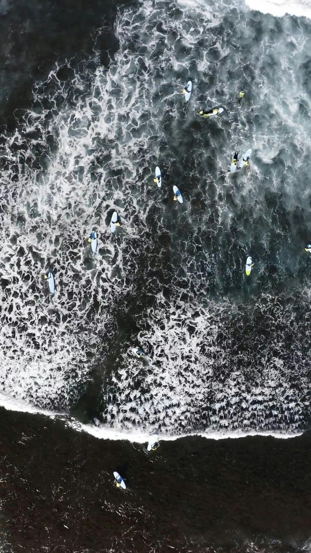 Pexels User - Photography