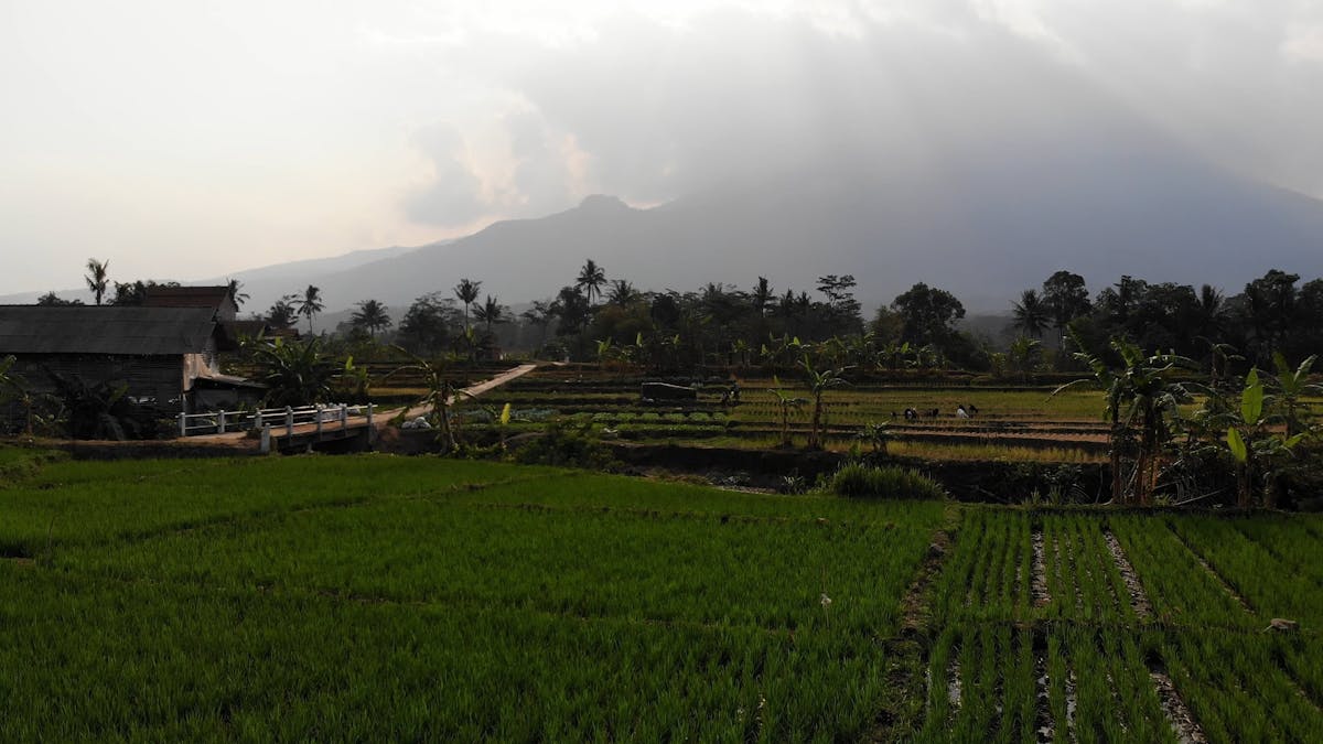 Indonesian Videos, Download The BEST Free 4k Stock Video Footage ...