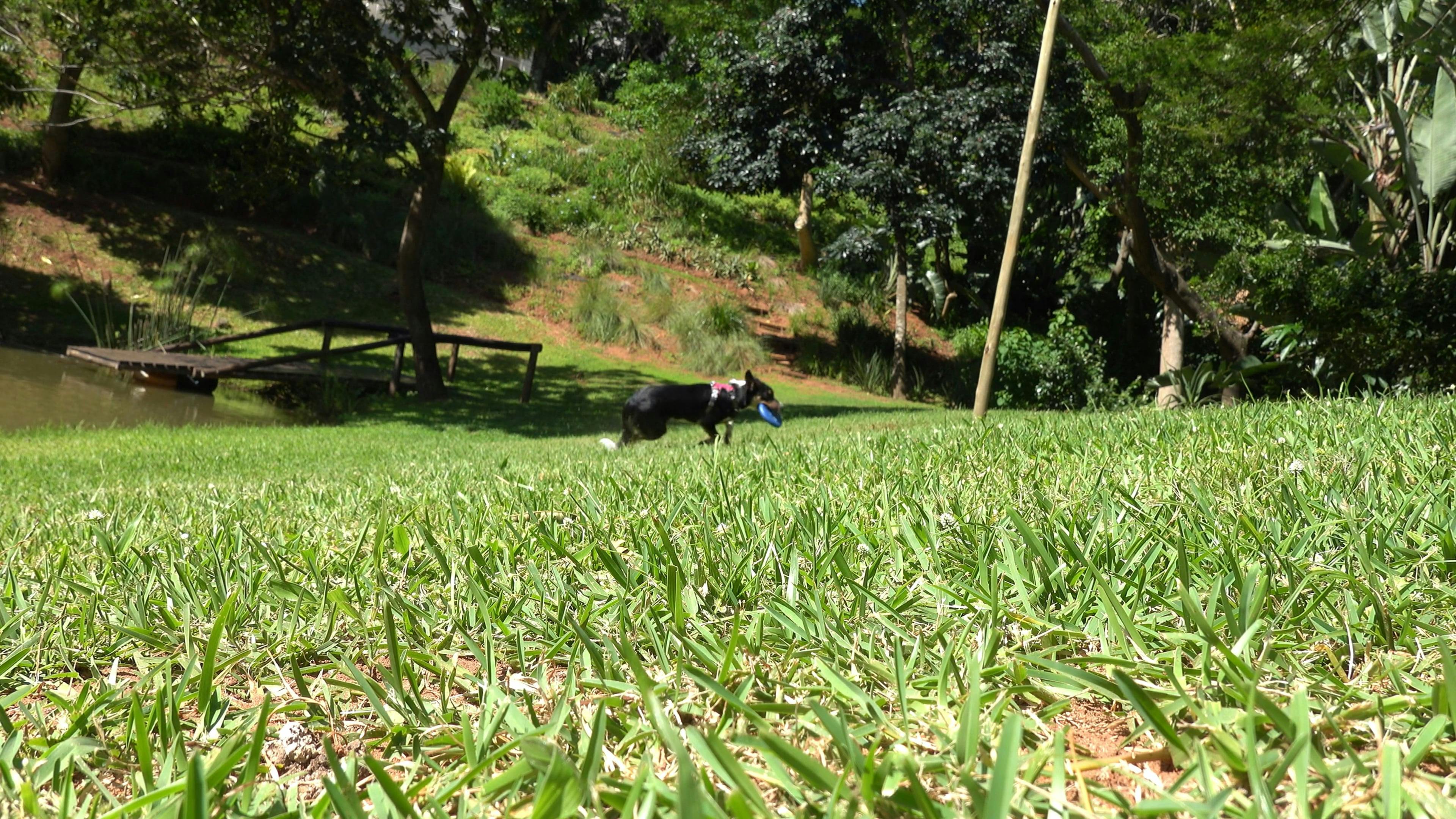 Training & Development Videos, Download The BEST Free 4k Stock Video ...