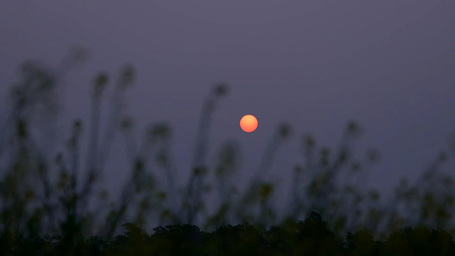Vídeos de stock gratuitos sobre al aire libre, alba, amanecer, amanecer ...