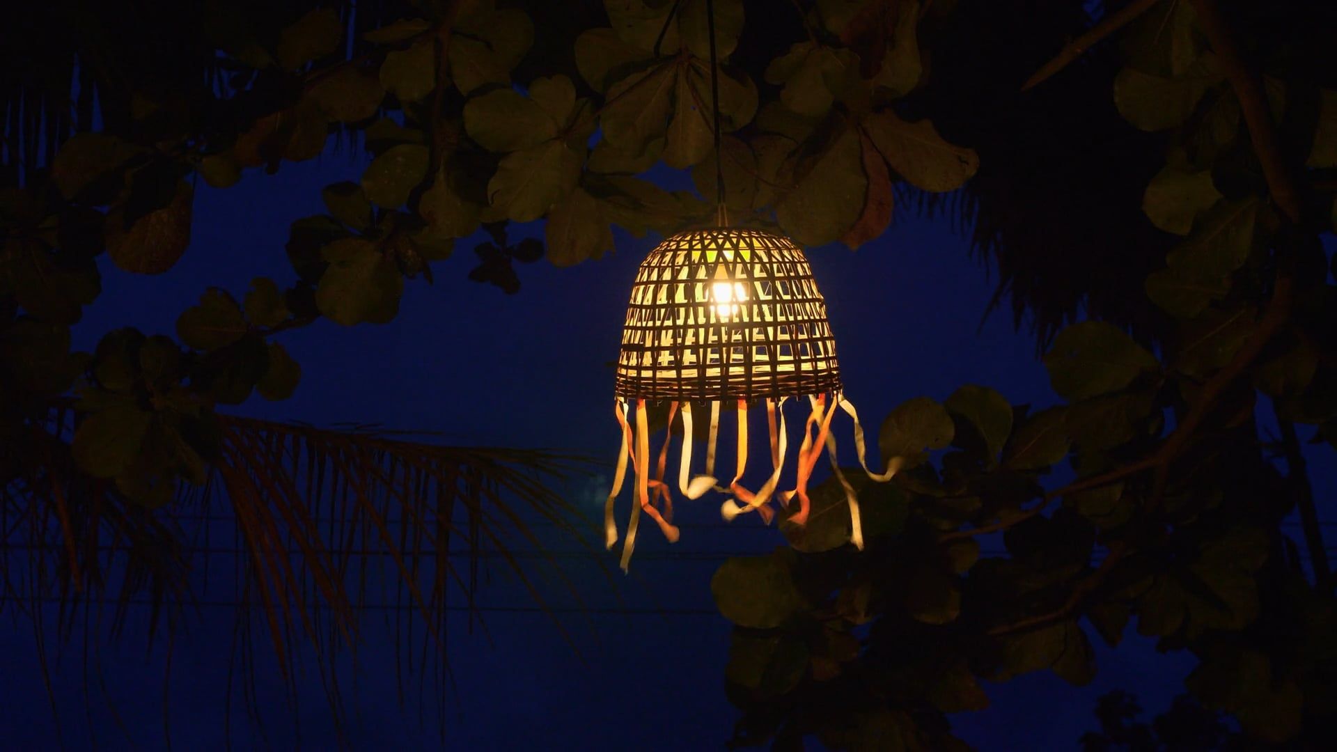 A light hanging from a tree at night Free Stock Video Footage, Royalty ...