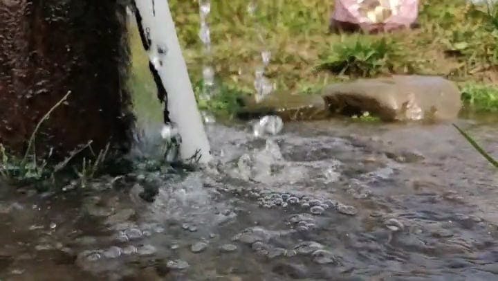 Free Dripping Videos · Pexels