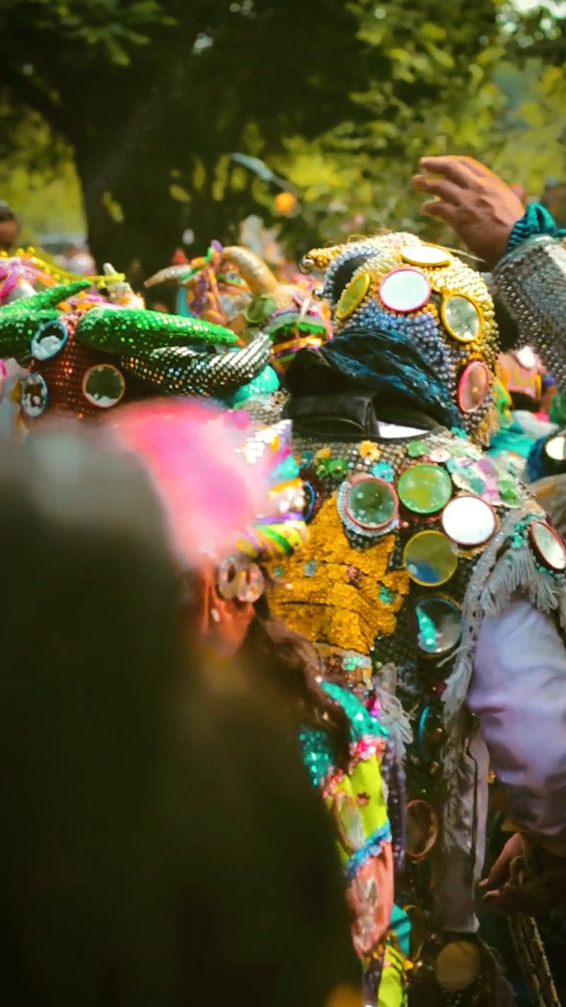 Carnaval Videos, Download The BEST Free 4k Stock Video Footage ...