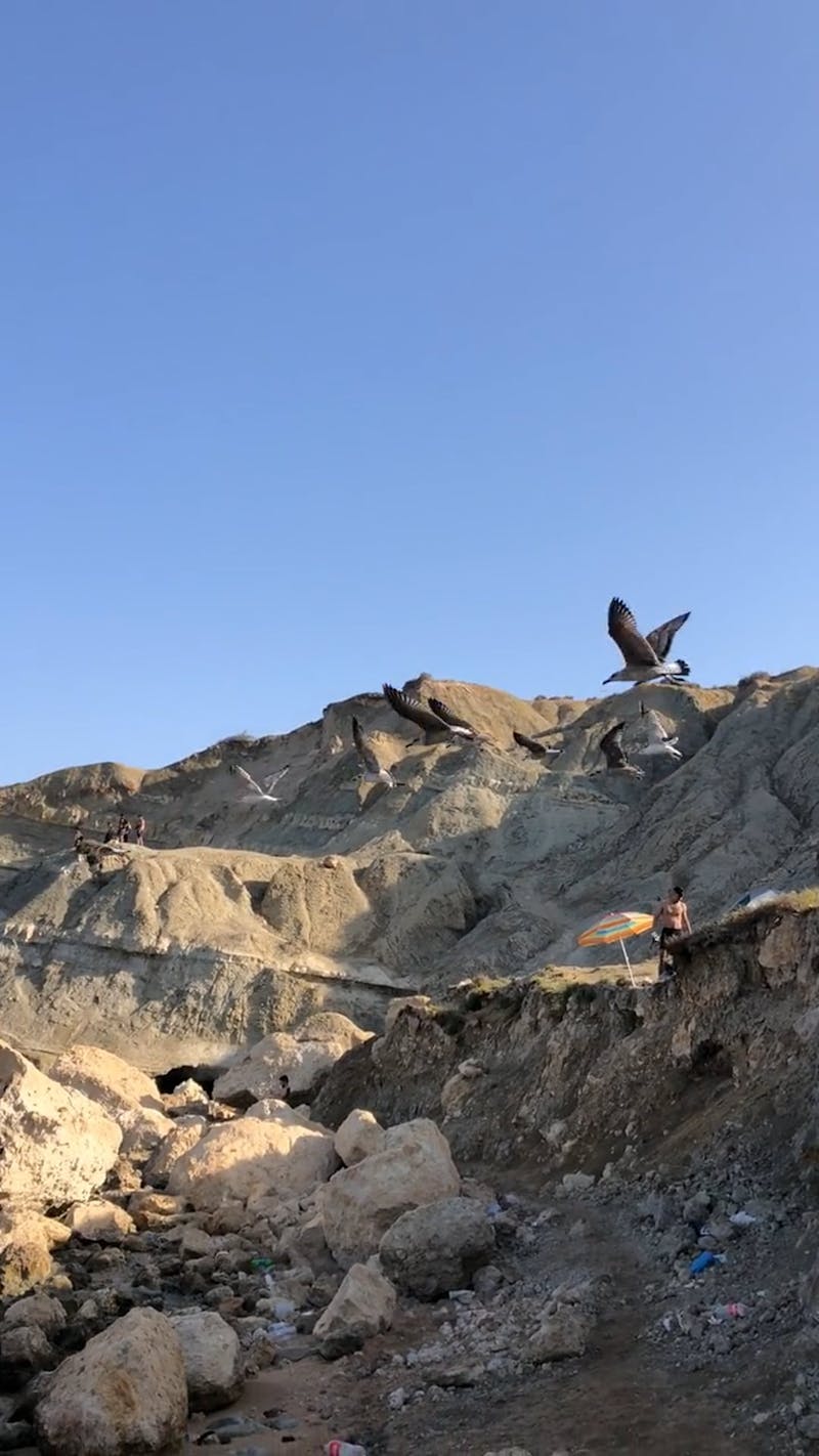 Algeria Videos, Download The BEST Free 4k Stock Video Footage & Algeria ...