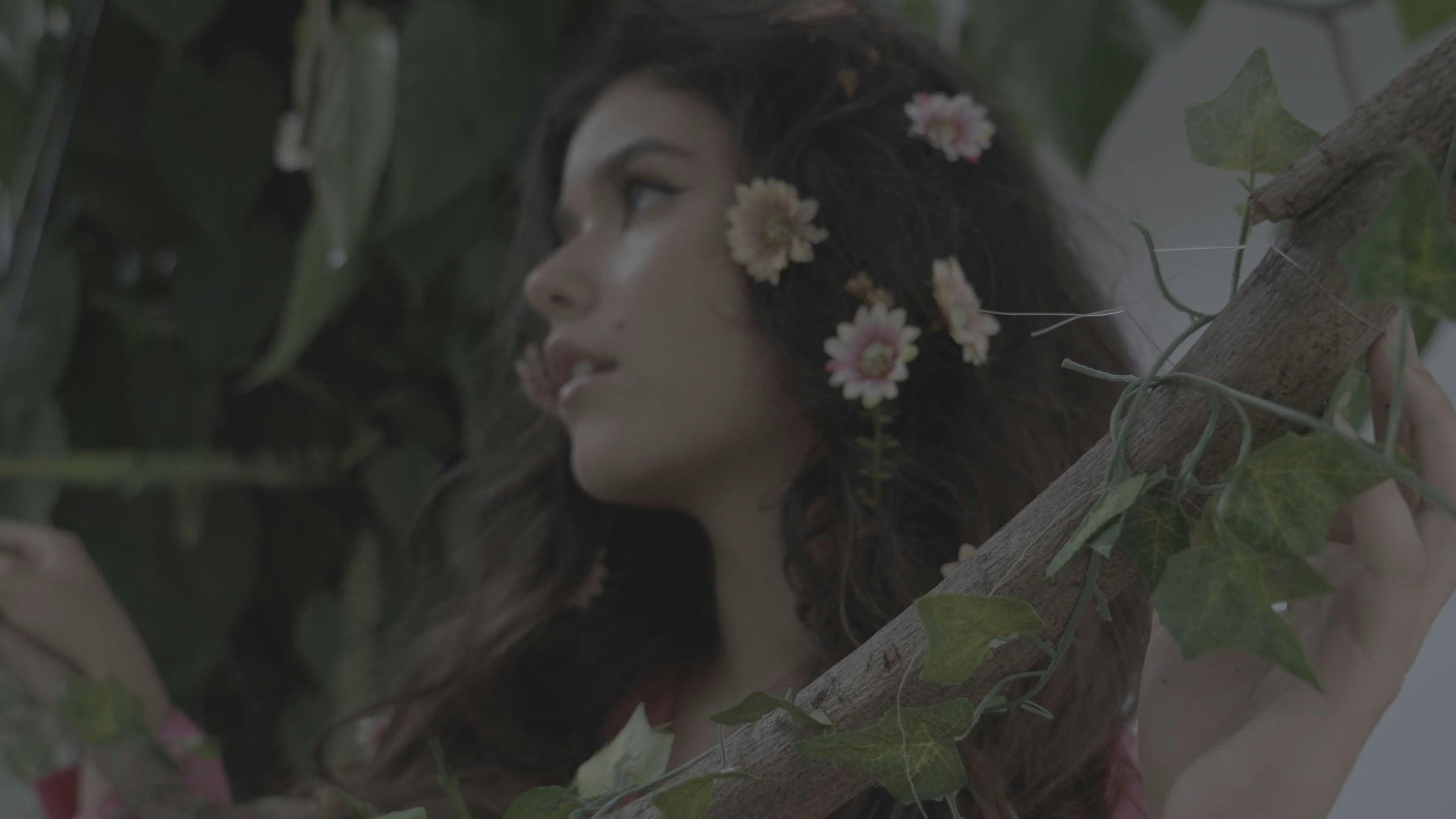 4K SLOG-3 Free Stock Video Footage, Royalty-Free 4K & HD Video Clip