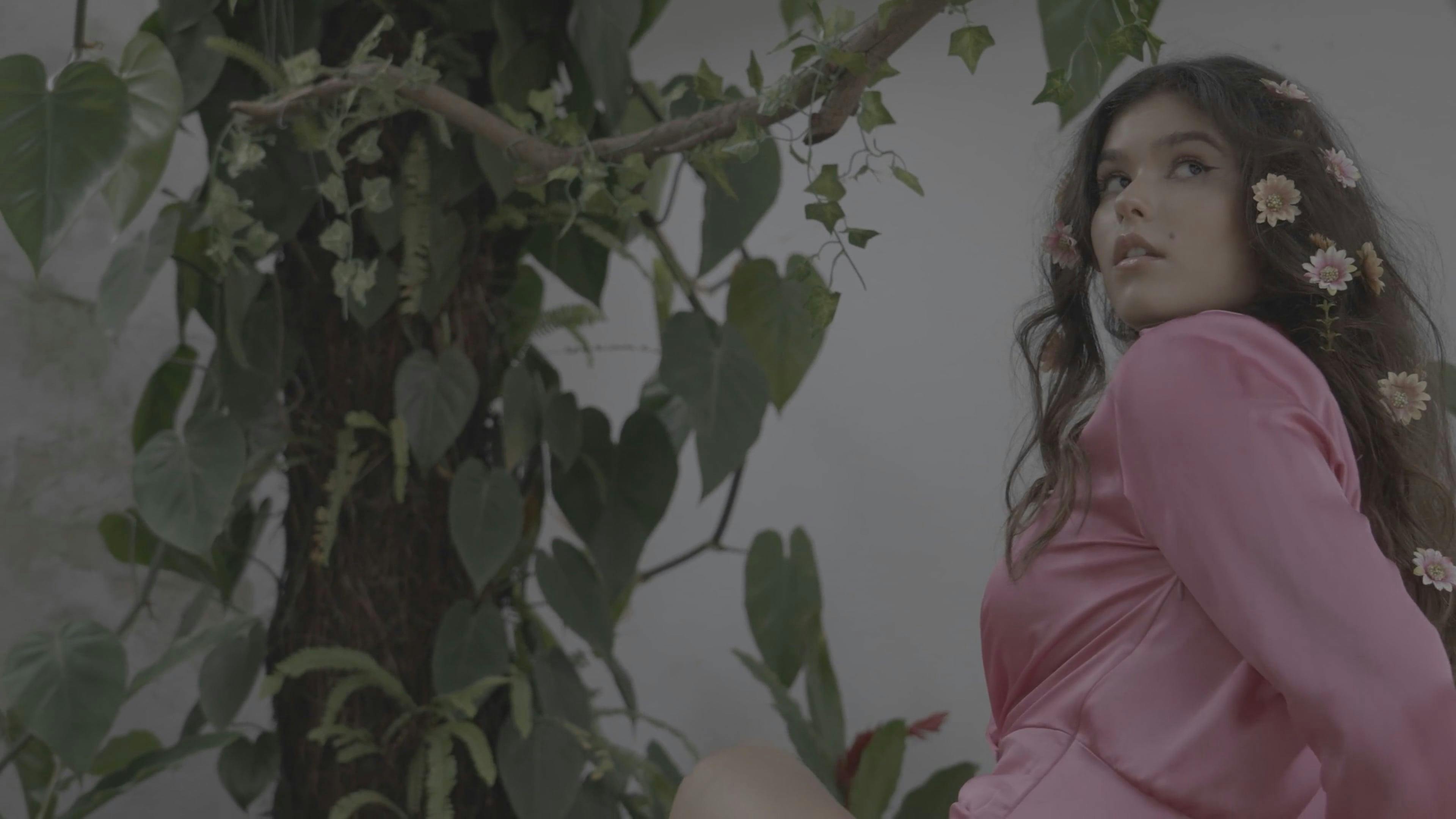 4K SLOG-3 Free Stock Video Footage, Royalty-Free 4K & HD Video Clip