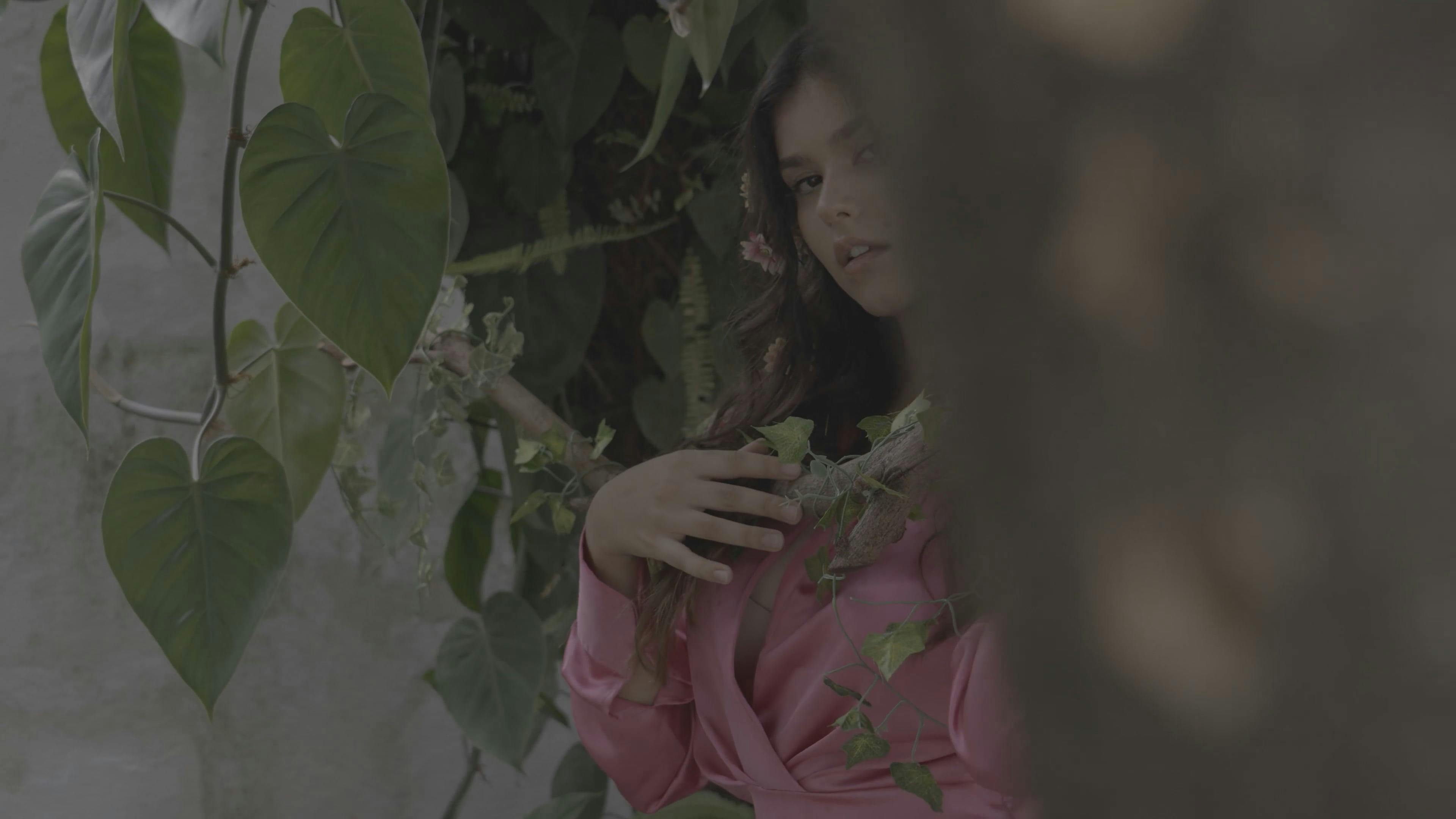 4K SLOG-3 Free Stock Video Footage, Royalty-Free 4K & HD Video Clip