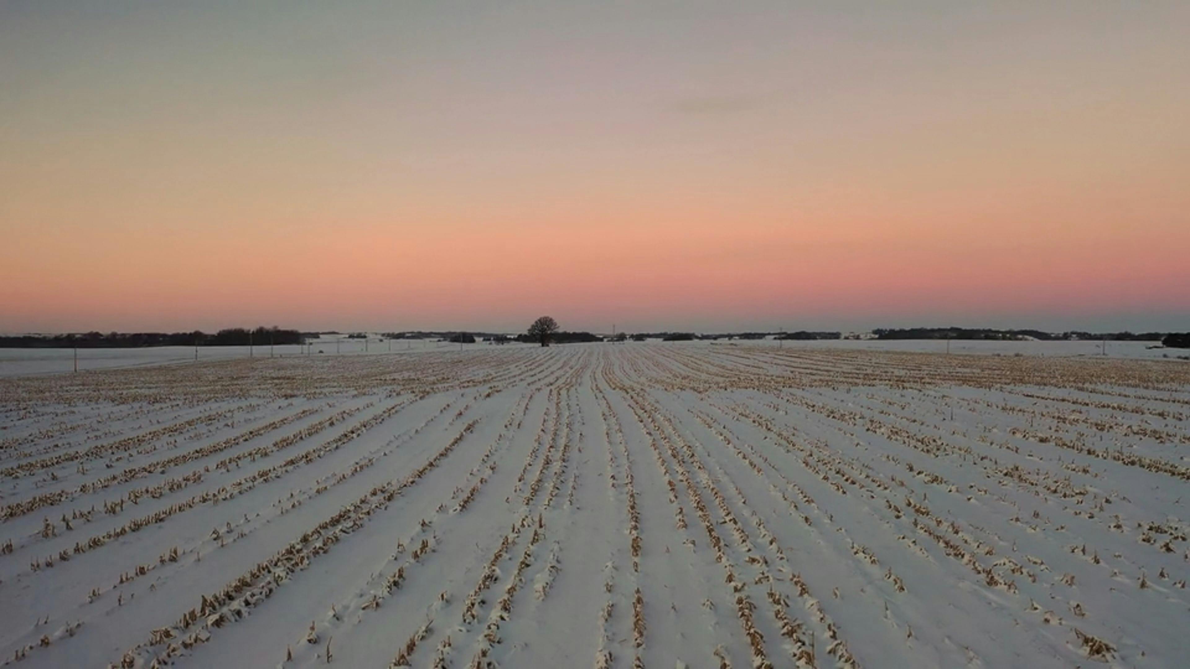 Drone Footage of a Snow Covered Farm Field at Sunrise Free Stock Video ...