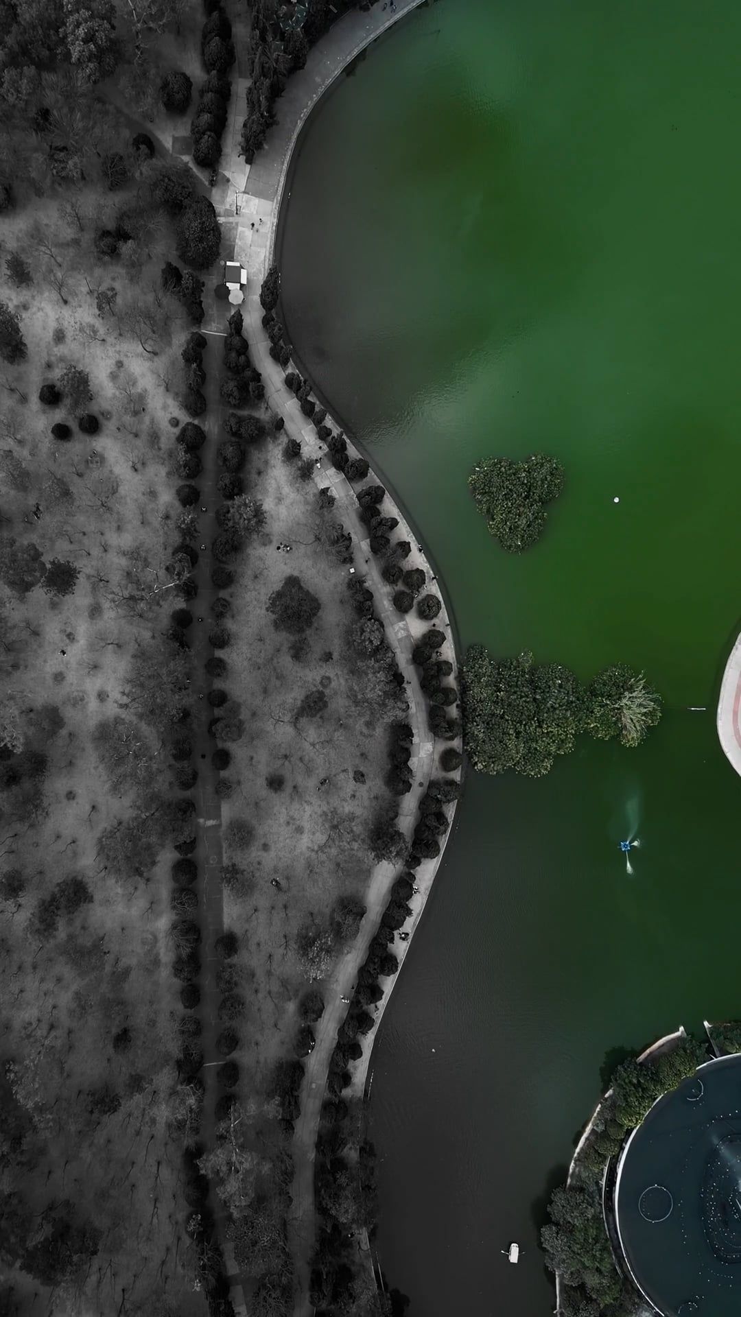Abstract Biosphere Videos, Download The BEST Free 4k Stock Video ...