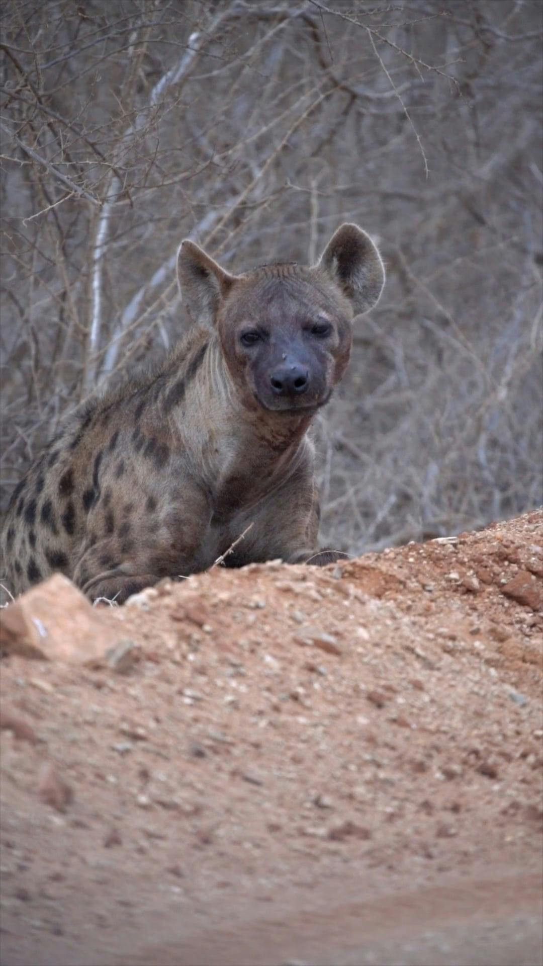 Vídeos de stock gratuitos sobre advertencia ambiental, al aire libre ...