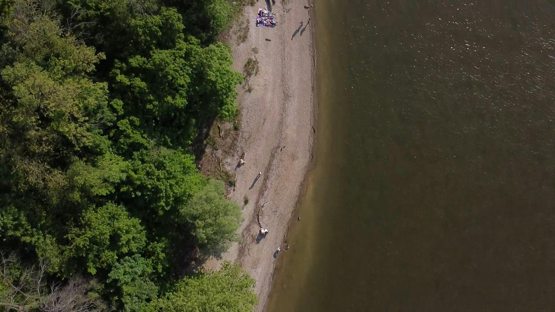 Beach at Danube River Novi Sad Serbia Free Stock Video Footage, Royalty ...