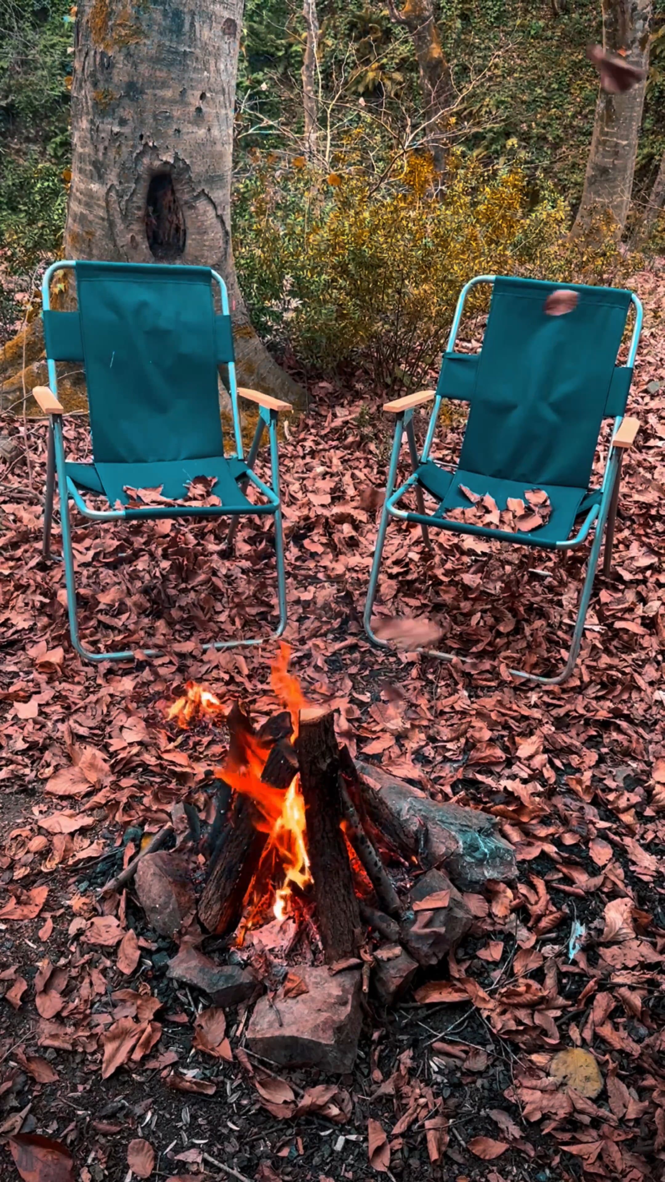 Autumn Leaves Falling over a Campfire Free Stock Video Footage, Royalty ...