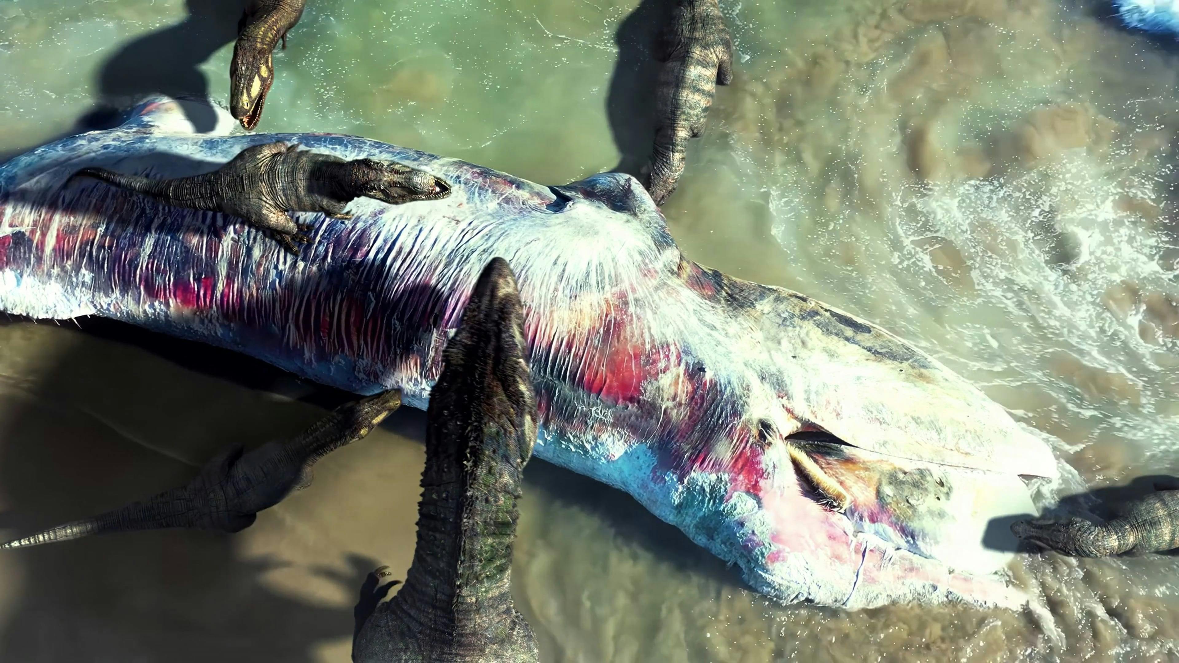 Animated Beach Videos, Download The BEST Free 4k Stock Video Footage ...