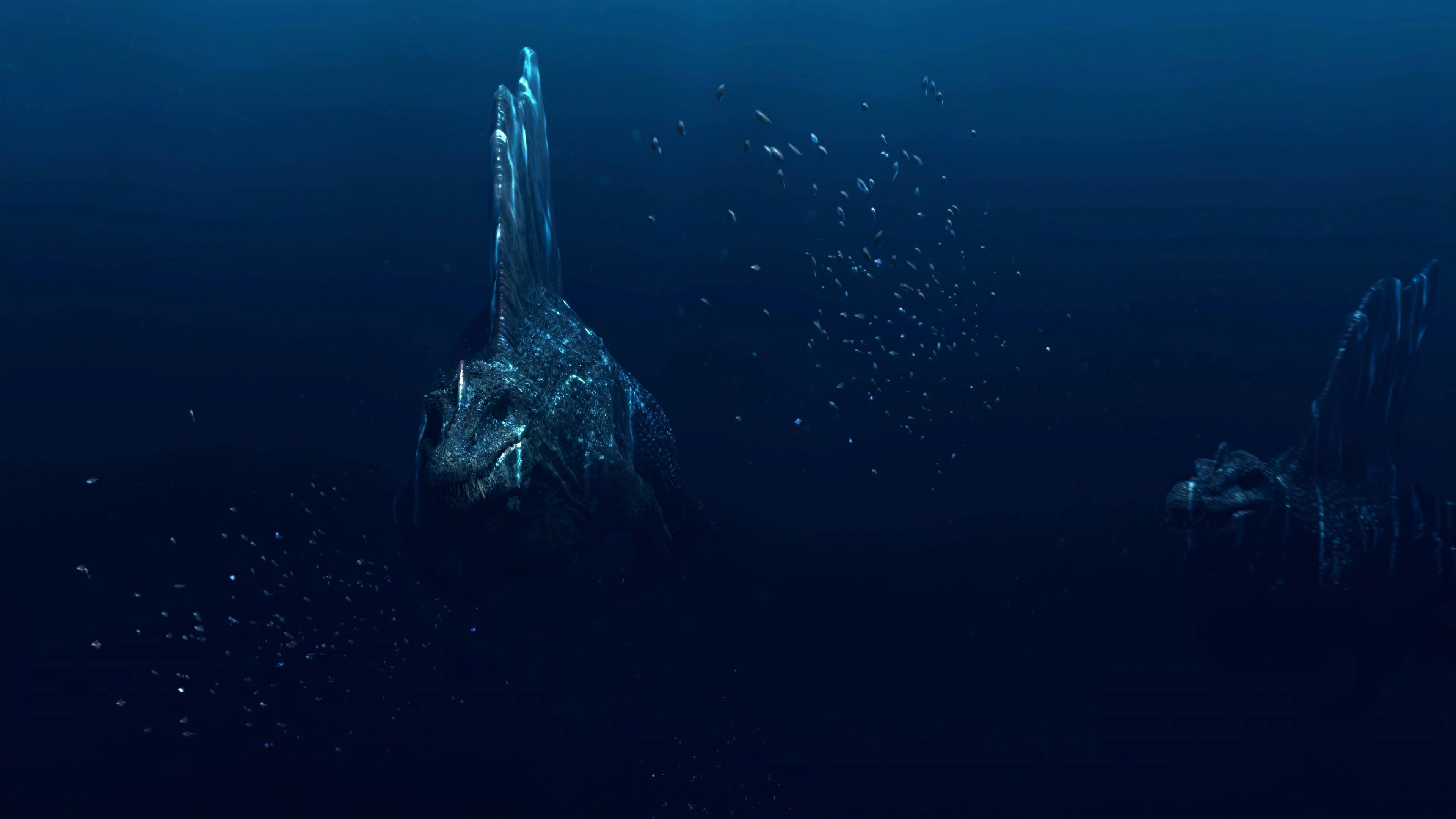 Sea Animated Videos, Download The BEST Free 4k Stock Video Footage ...