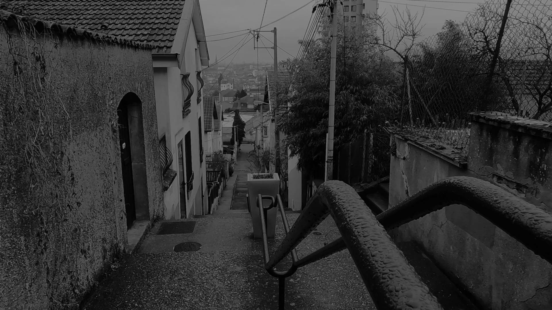 Static Camera Videos, Download The BEST Free 4k Stock Video Footage ...