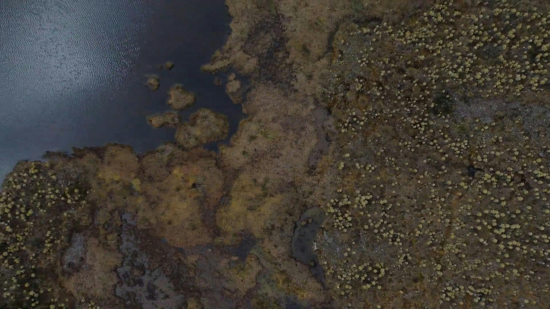 Borderline Free Stock Video Footage, Royalty-Free 4K & HD Video Clip