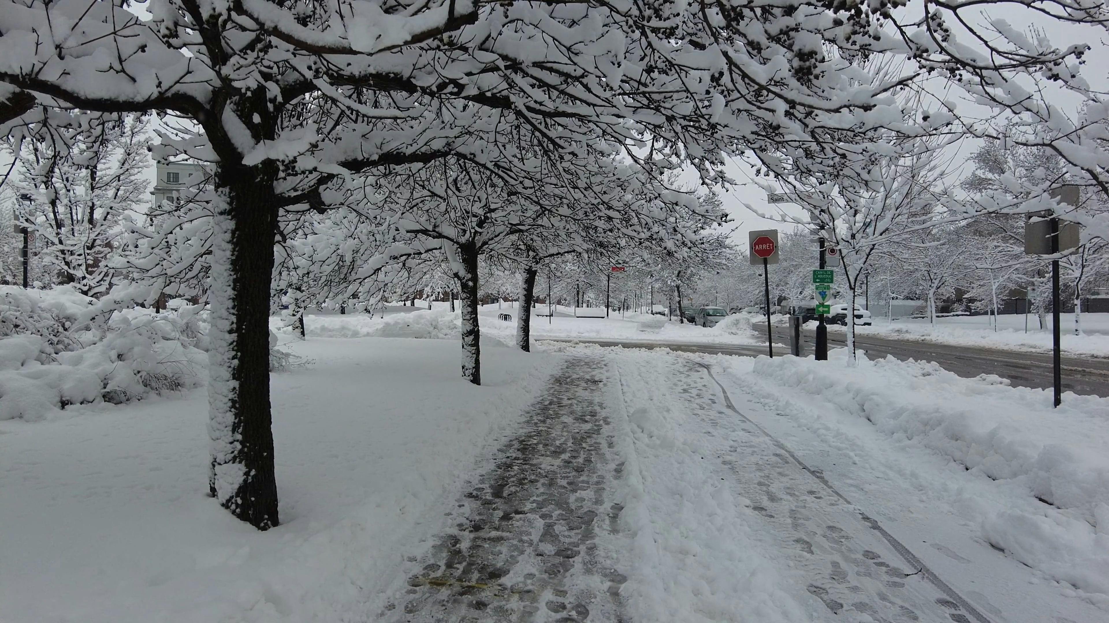 Vídeos de stock gratuitos sobre acera, al aire libre, ambiente de ...