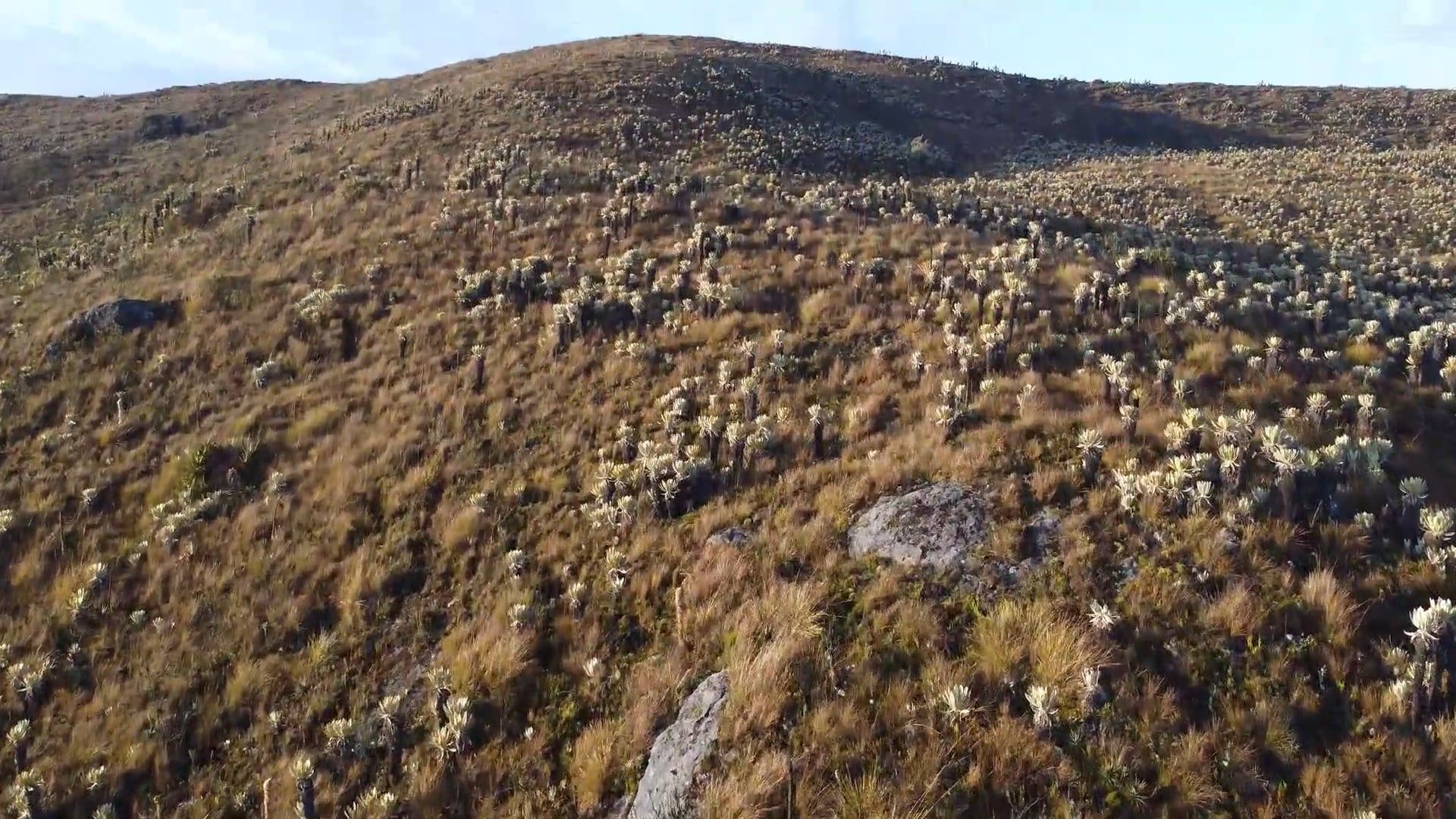 Vídeo profissional gratuito de @exterior, acima, aéreo, afloramento ...