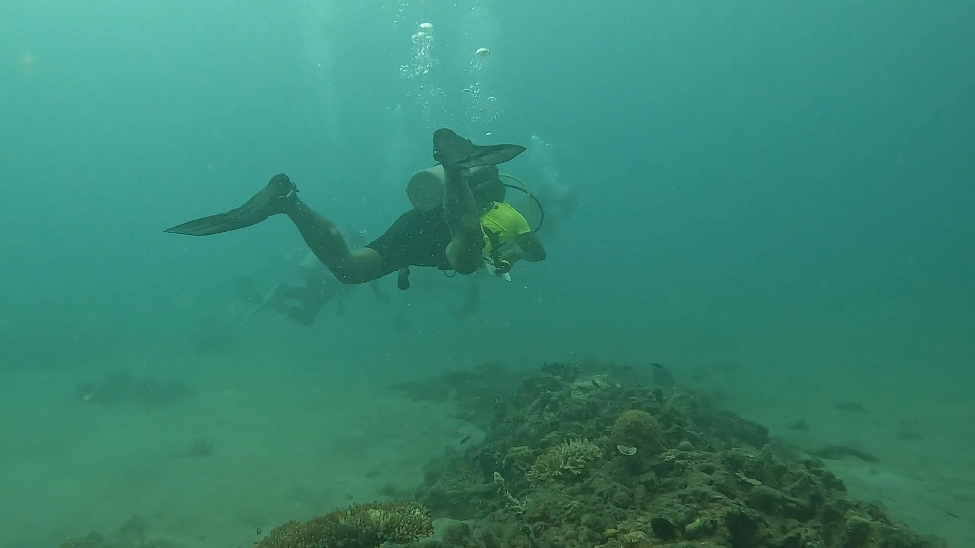 Scuba Divers Swimming over a Coral Reef Free Stock Video Footage ...