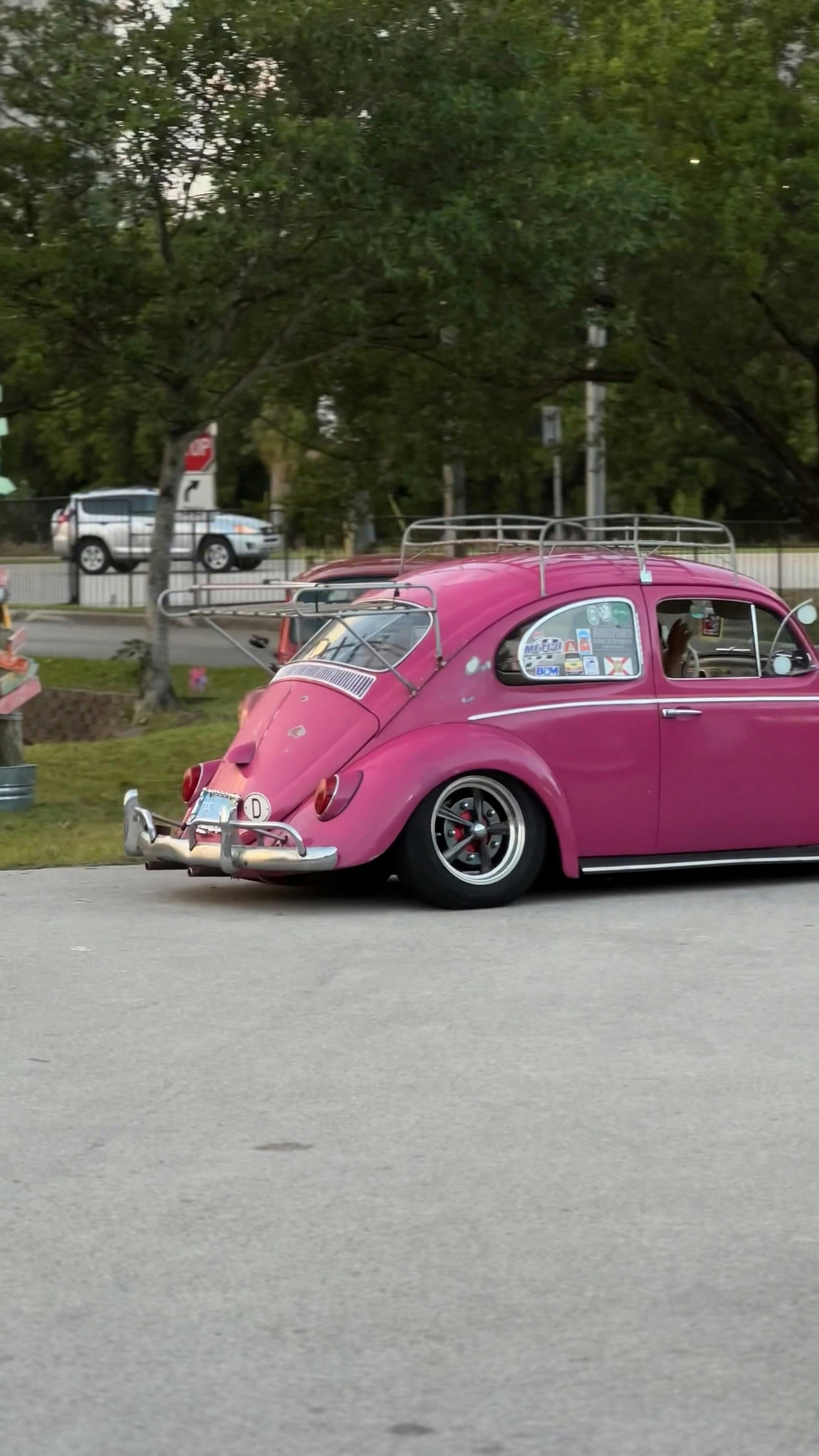 Kafer Faturasi Videos, Download The BEST Free 4k Stock Video Footage ...