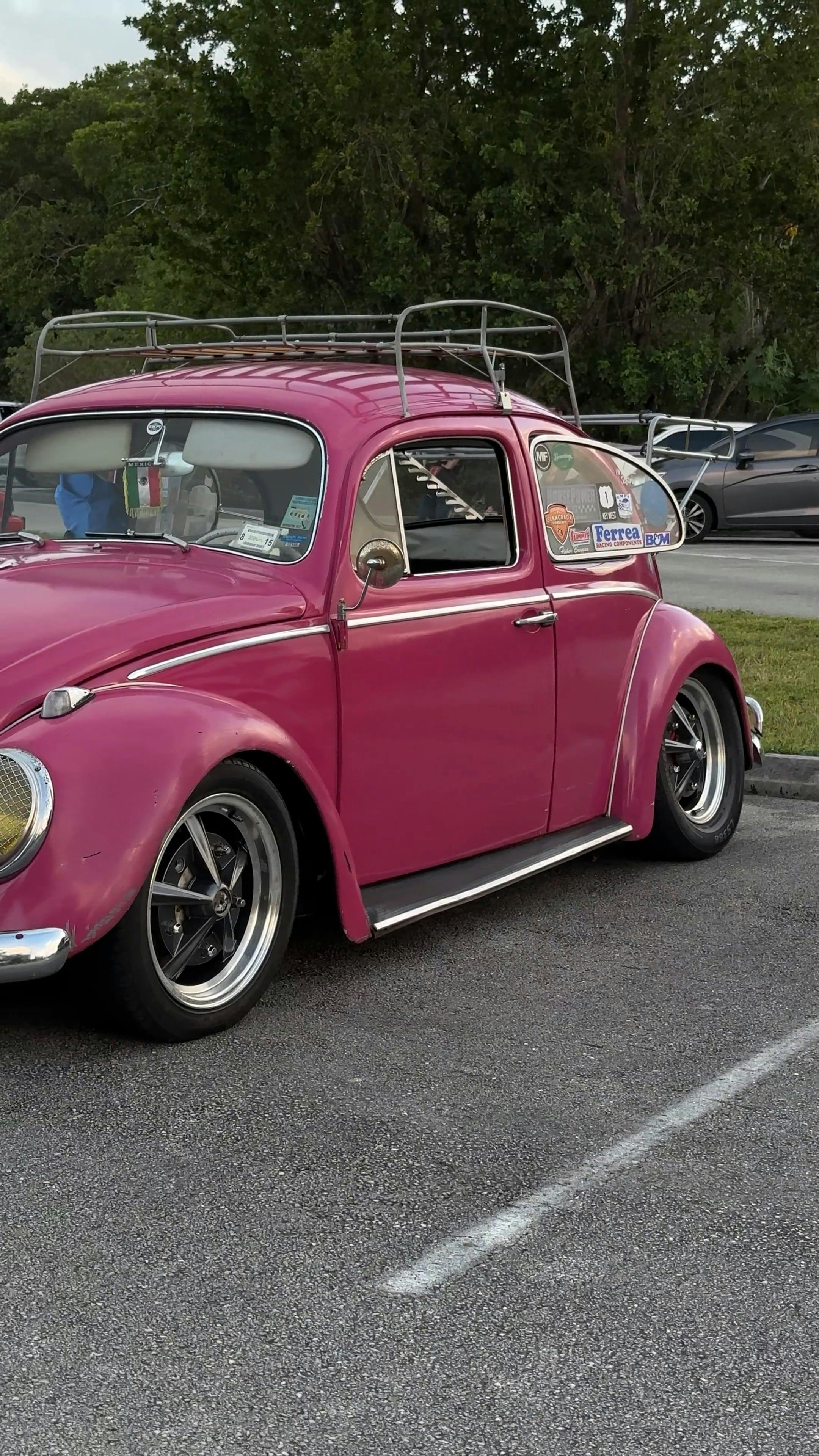 Kafer Baai Videos, Download The BEST Free 4k Stock Video Footage ...