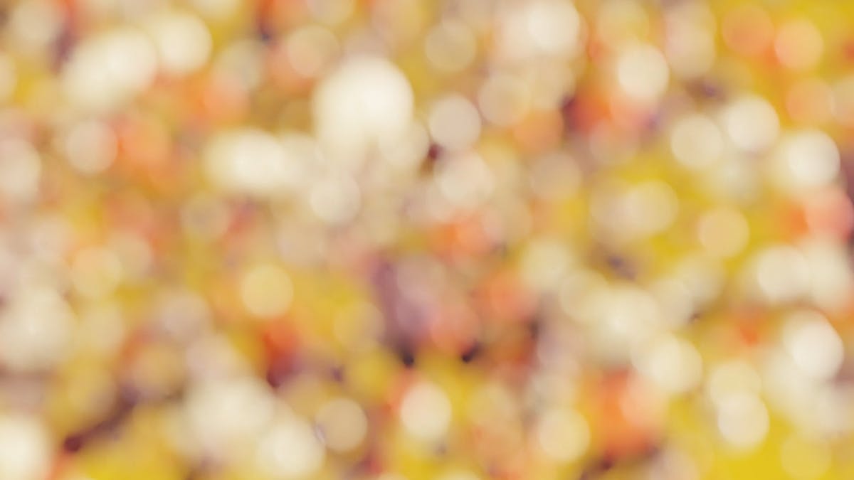 4k Visuals Videos, Download The BEST Free 4k Stock Video Footage & 4k ...