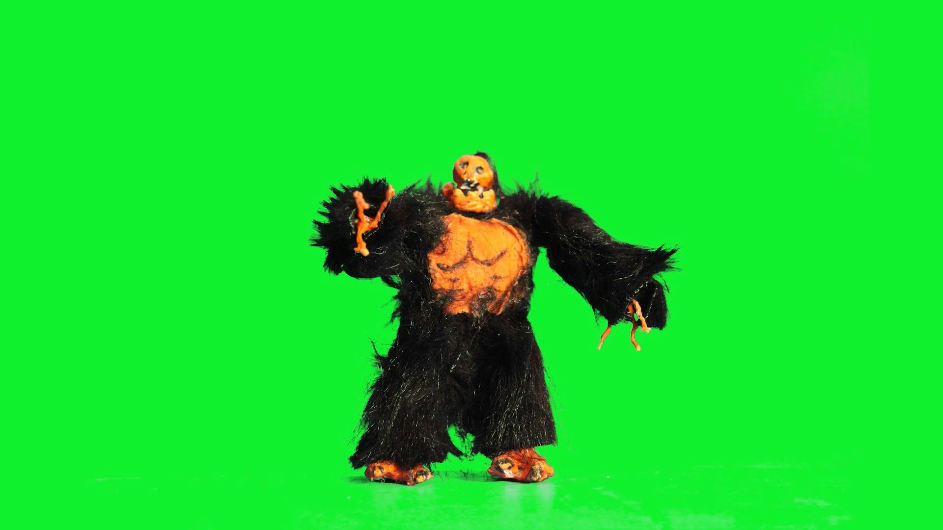 Animation Jungle Videos, Download The BEST Free 4k Stock Video Footage ...