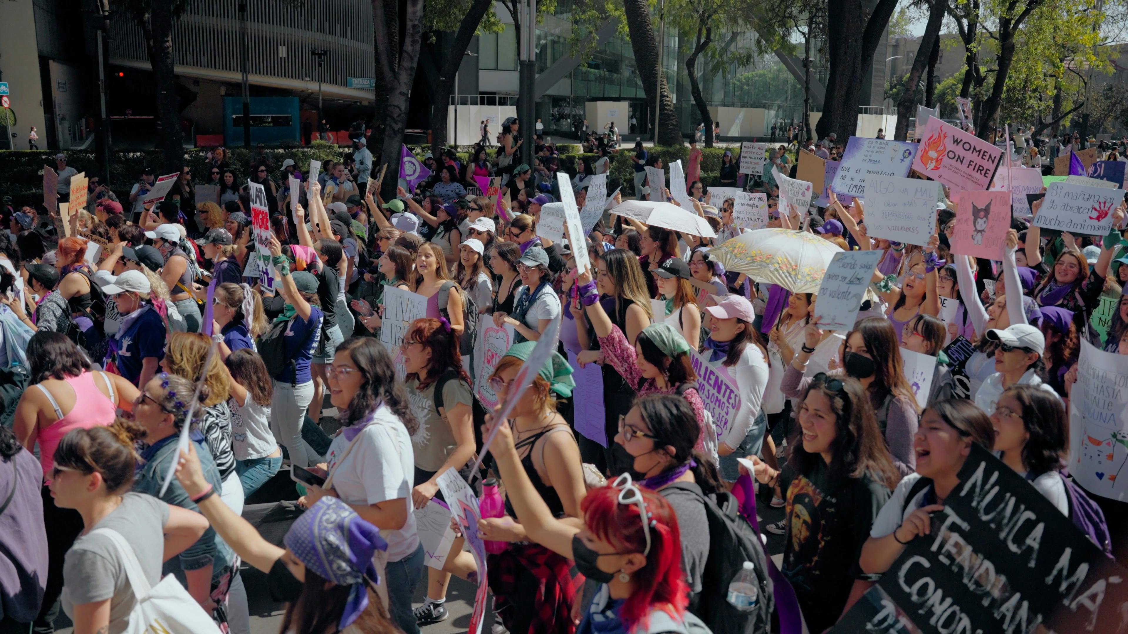 Vídeos de stock gratuitos sobre 8 de marzo, 8m, acción comunitaria ...
