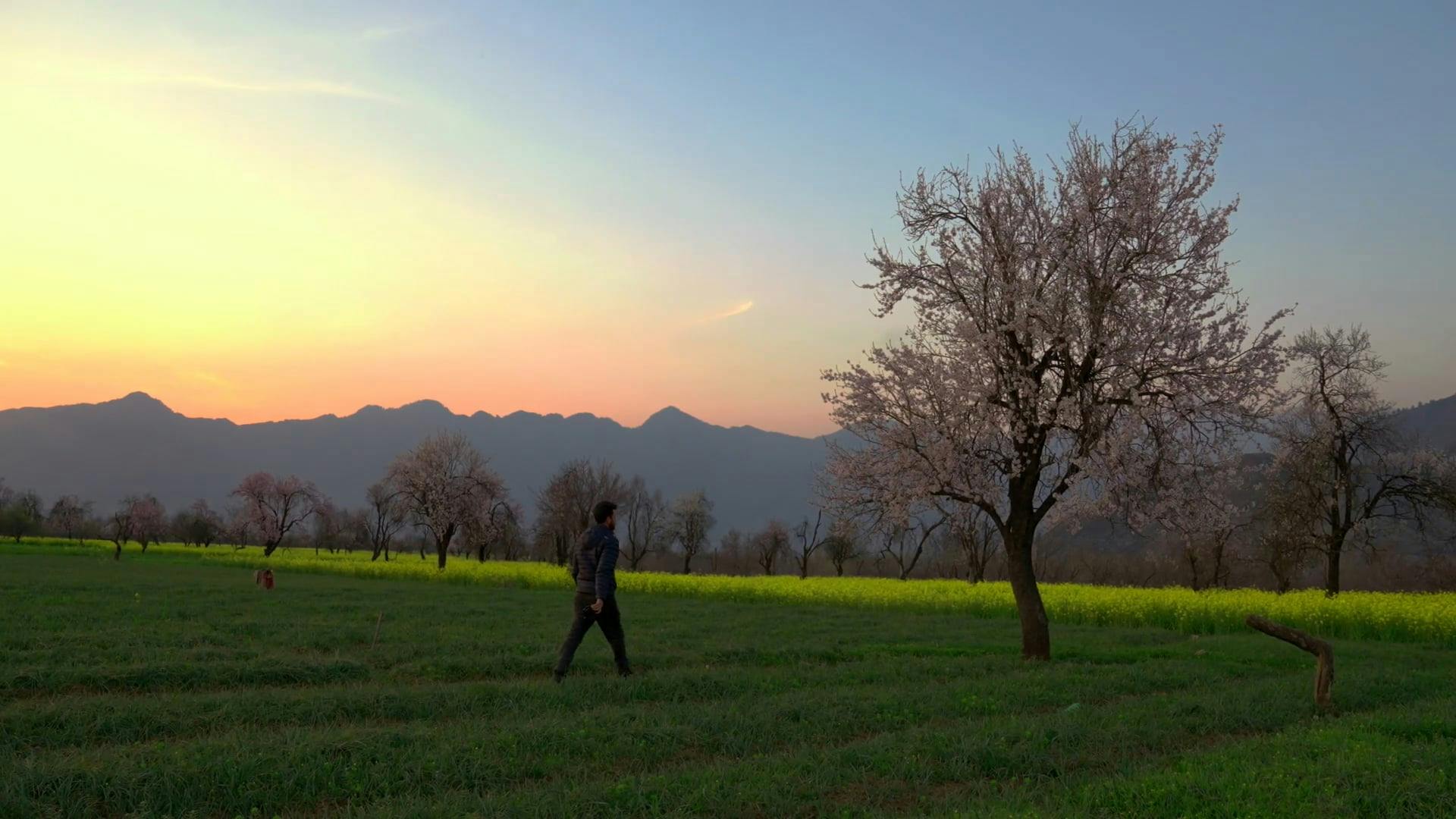 SONY SLOG 3 FOOTAGE FREE DOWNLOAD FOR COLOR GRADING Free Stock Video ...