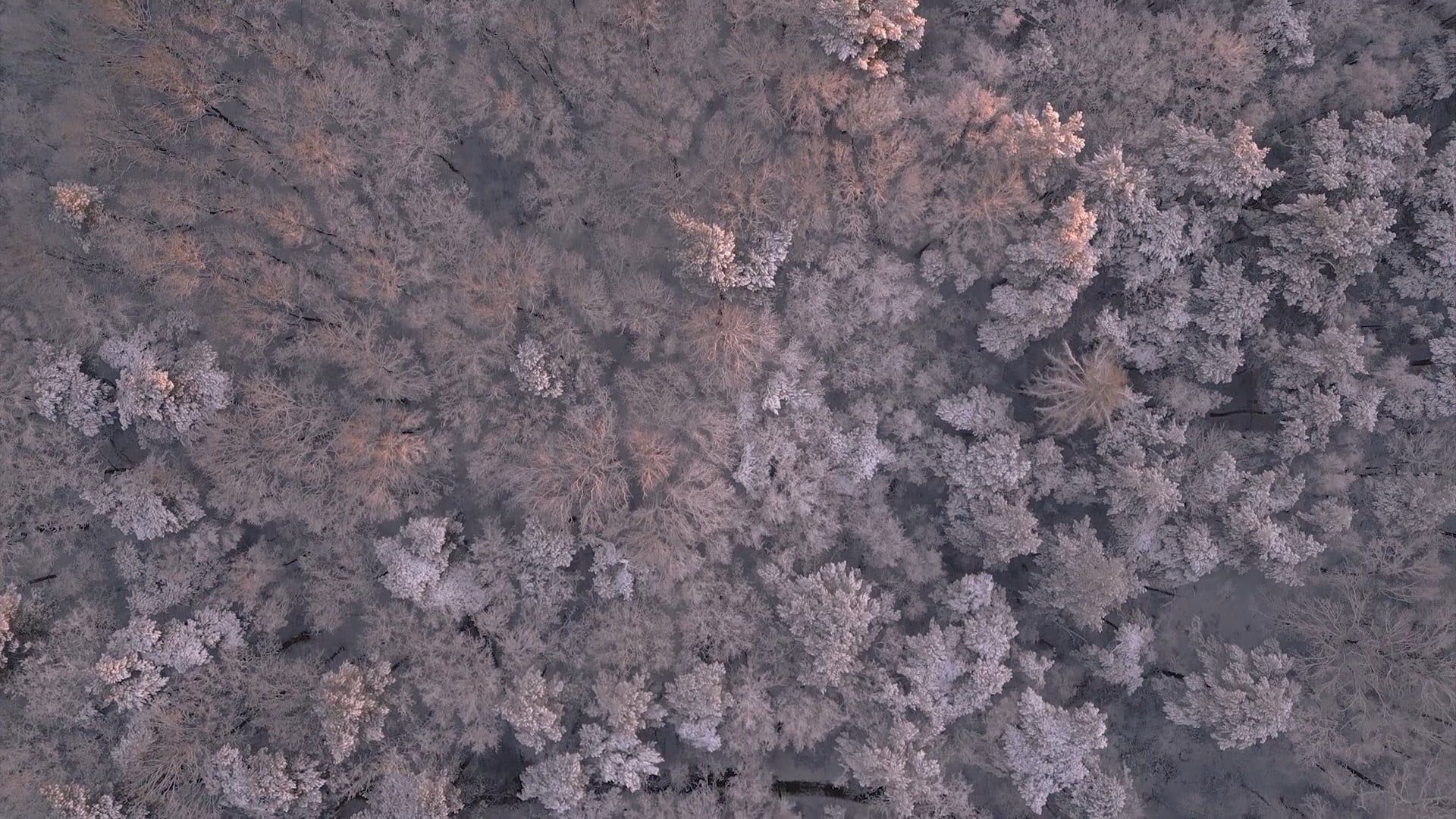 Justin Wint Videos, Download The BEST Free 4k Stock Video Footage ...