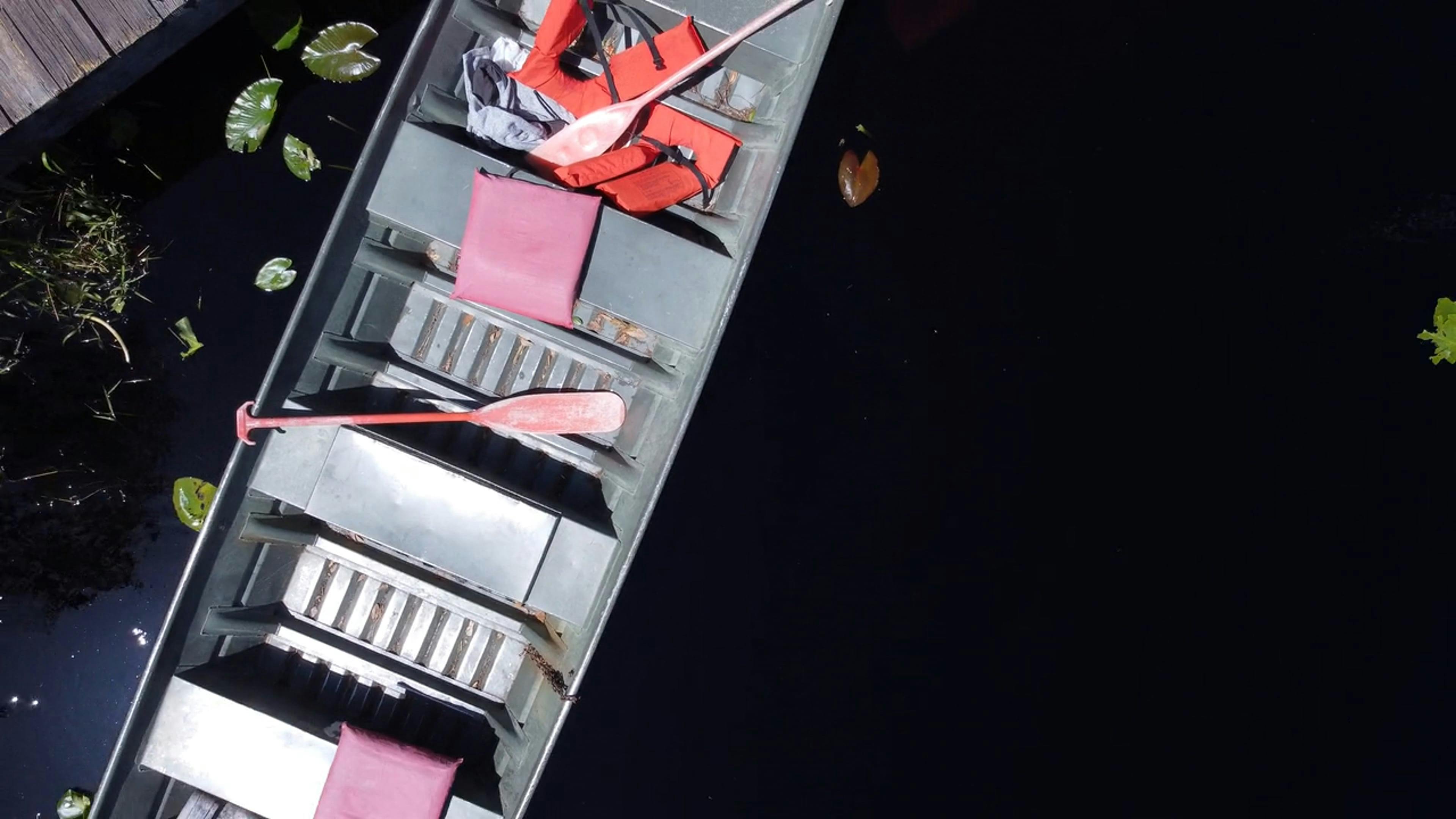 Canoe from above in a Swamp in the US Free Stock Video Footage, Royalty ...