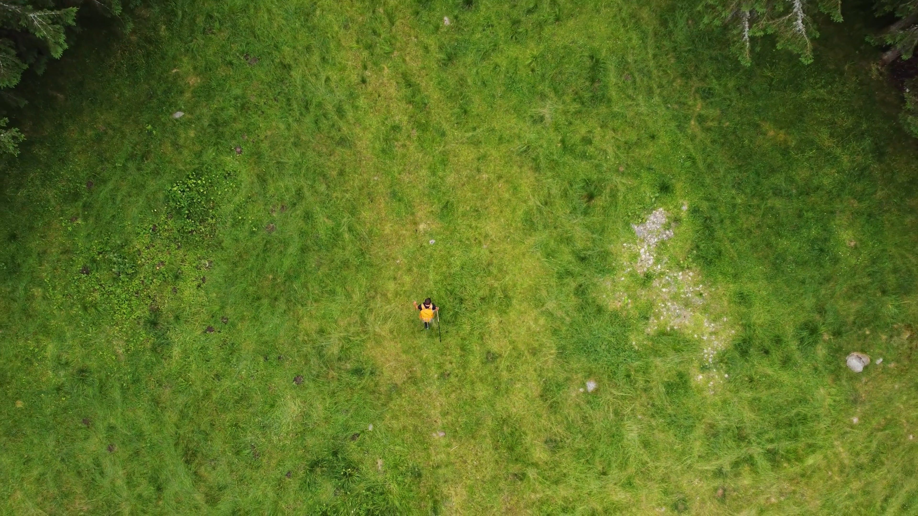 Drone View of a Hiker in a Forest Free Stock Video Footage, Royalty ...