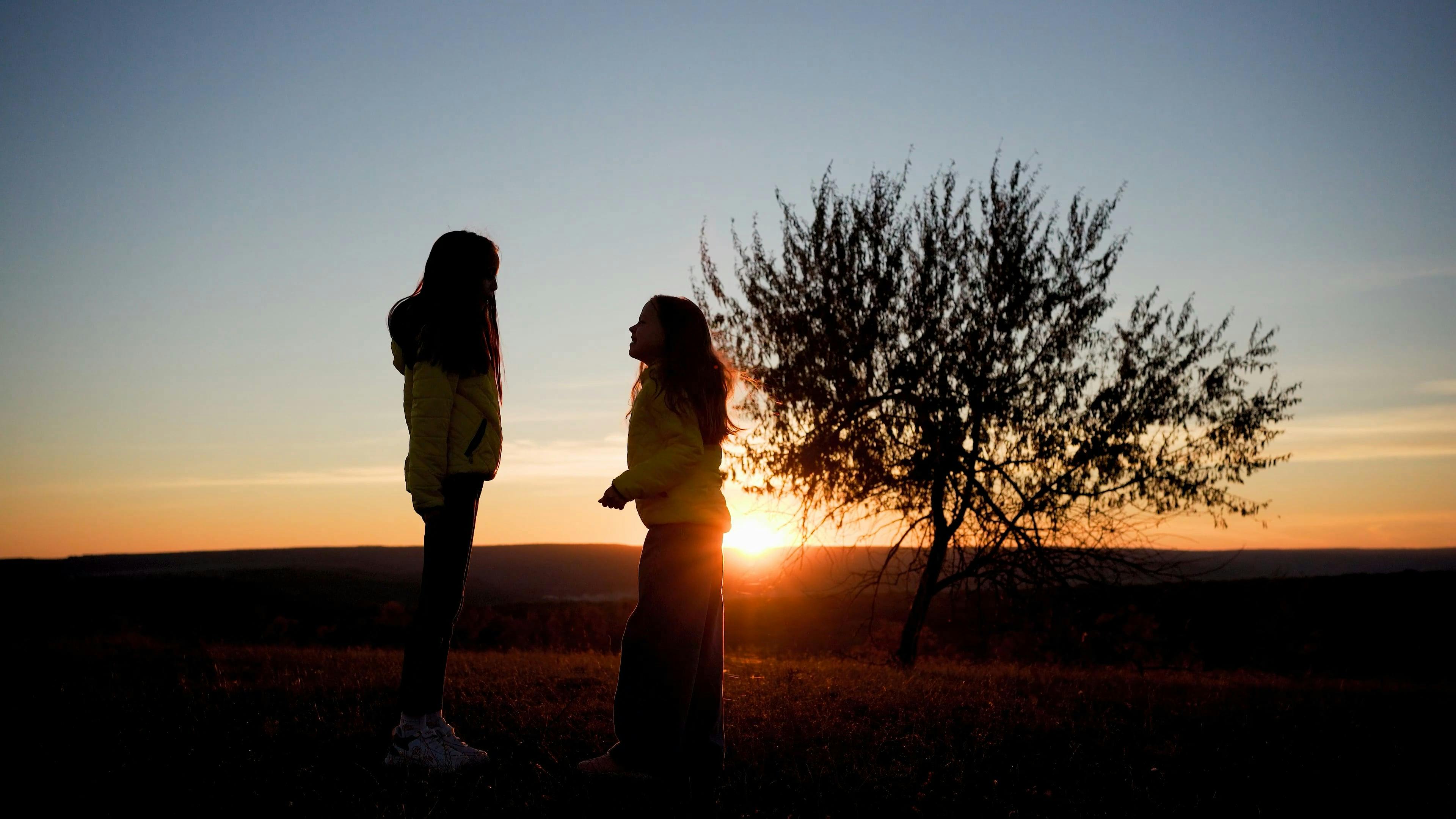 Two Little Girls Arguing in a Field at Sunset Free Stock Video Footage ...