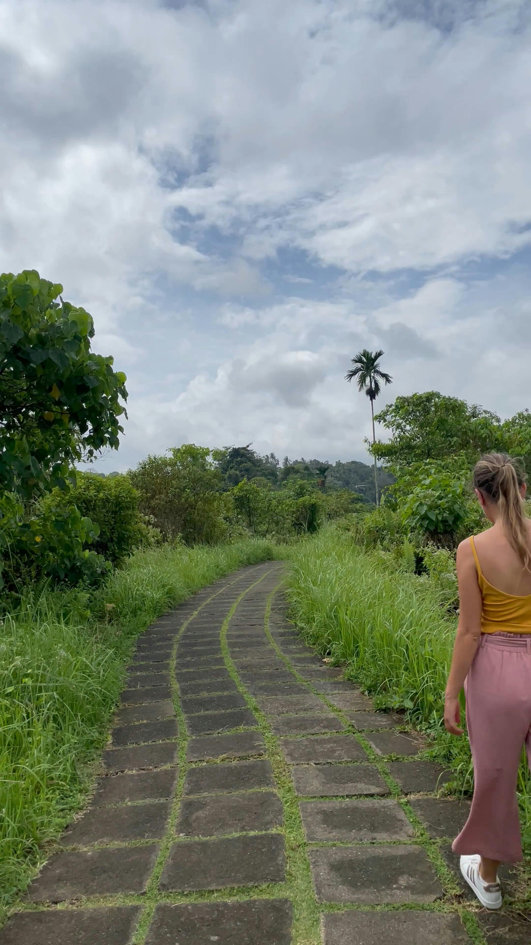 Chi Path Videos, Download The BEST Free 4k Stock Video Footage & Chi ...