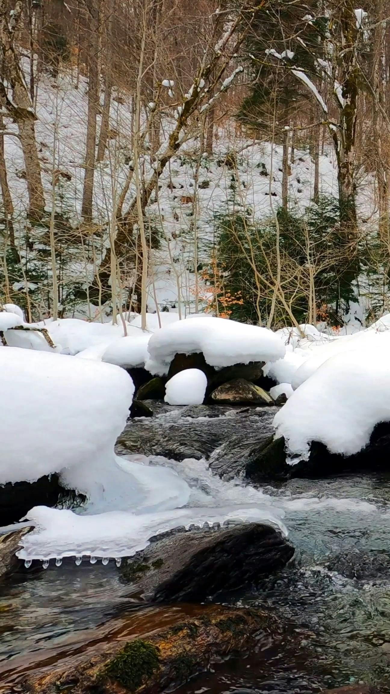 Snow Covered Rocks in Forest River Free Stock Video Footage, Royalty ...