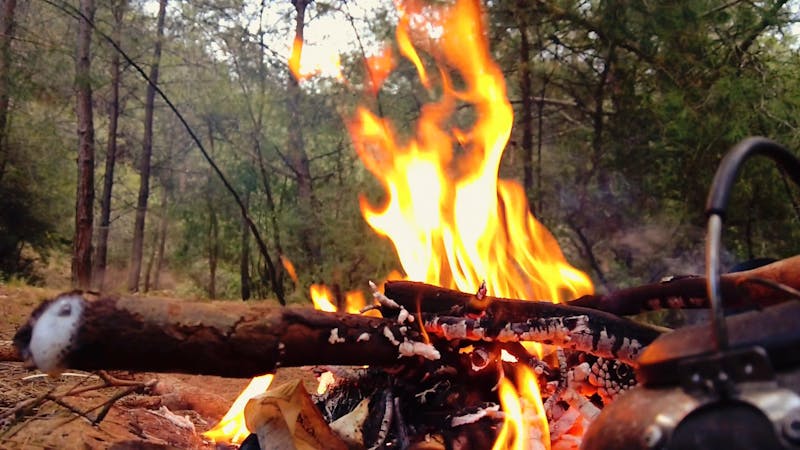 Fire Bending Videos, Download The BEST Free 4k Stock Video Footage ...