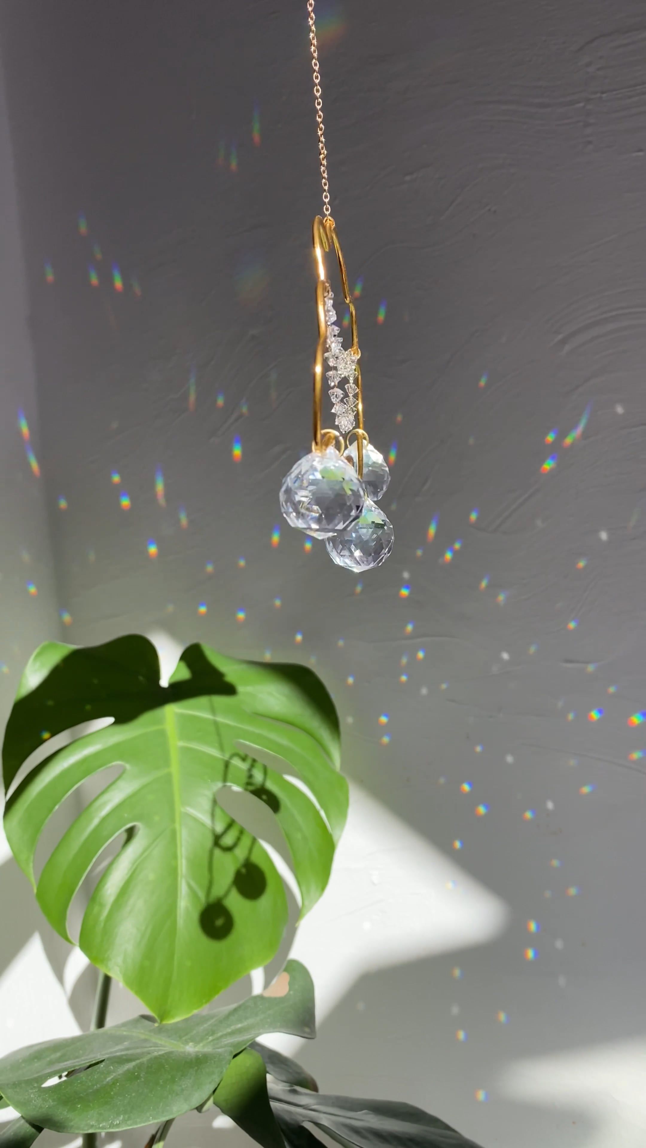 A plant with a crystal hanging from it Free Stock Video Footage ...
