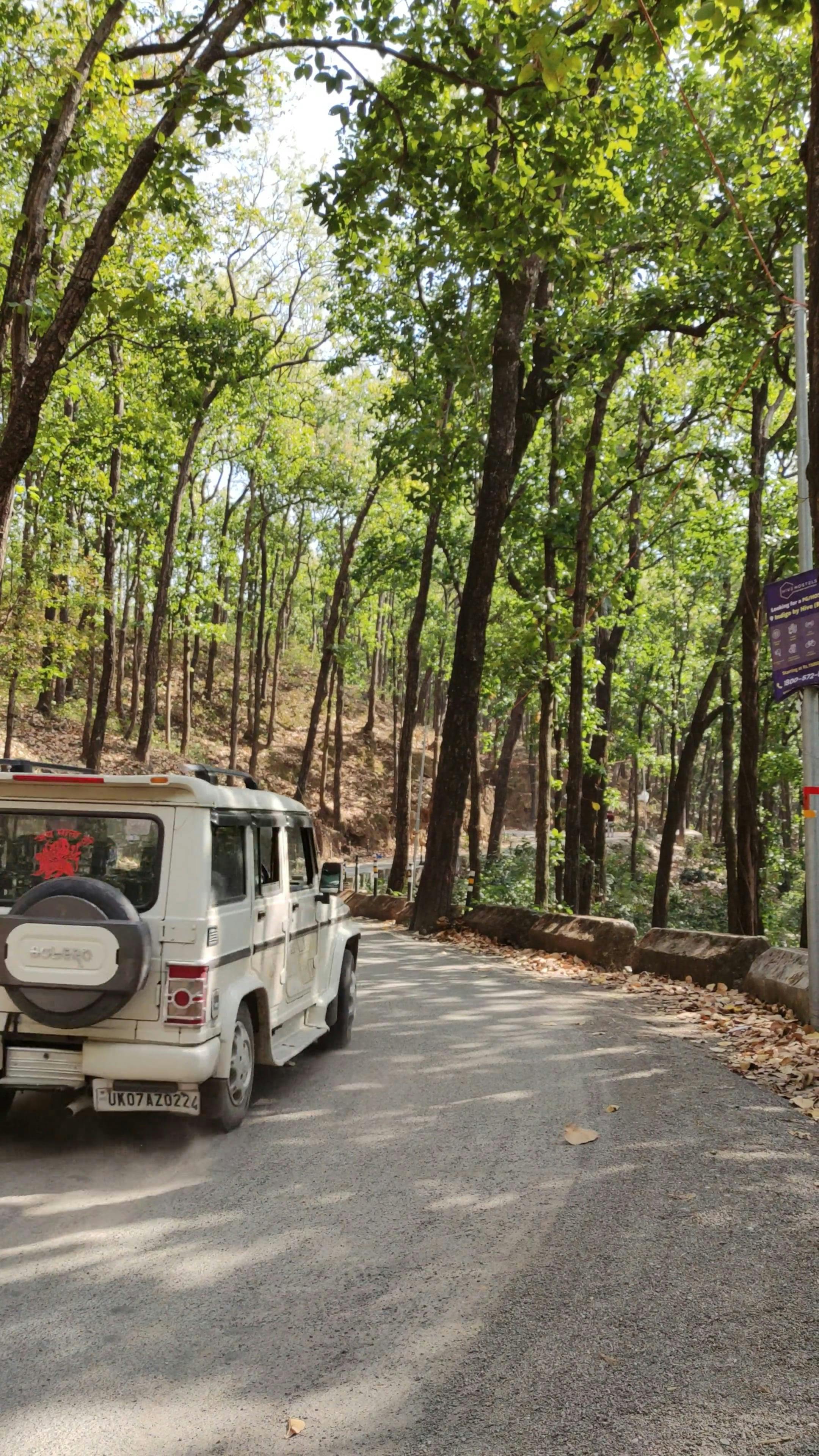 A Vehicle Driving on a Forest Road Free Stock Video Footage, Royalty ...