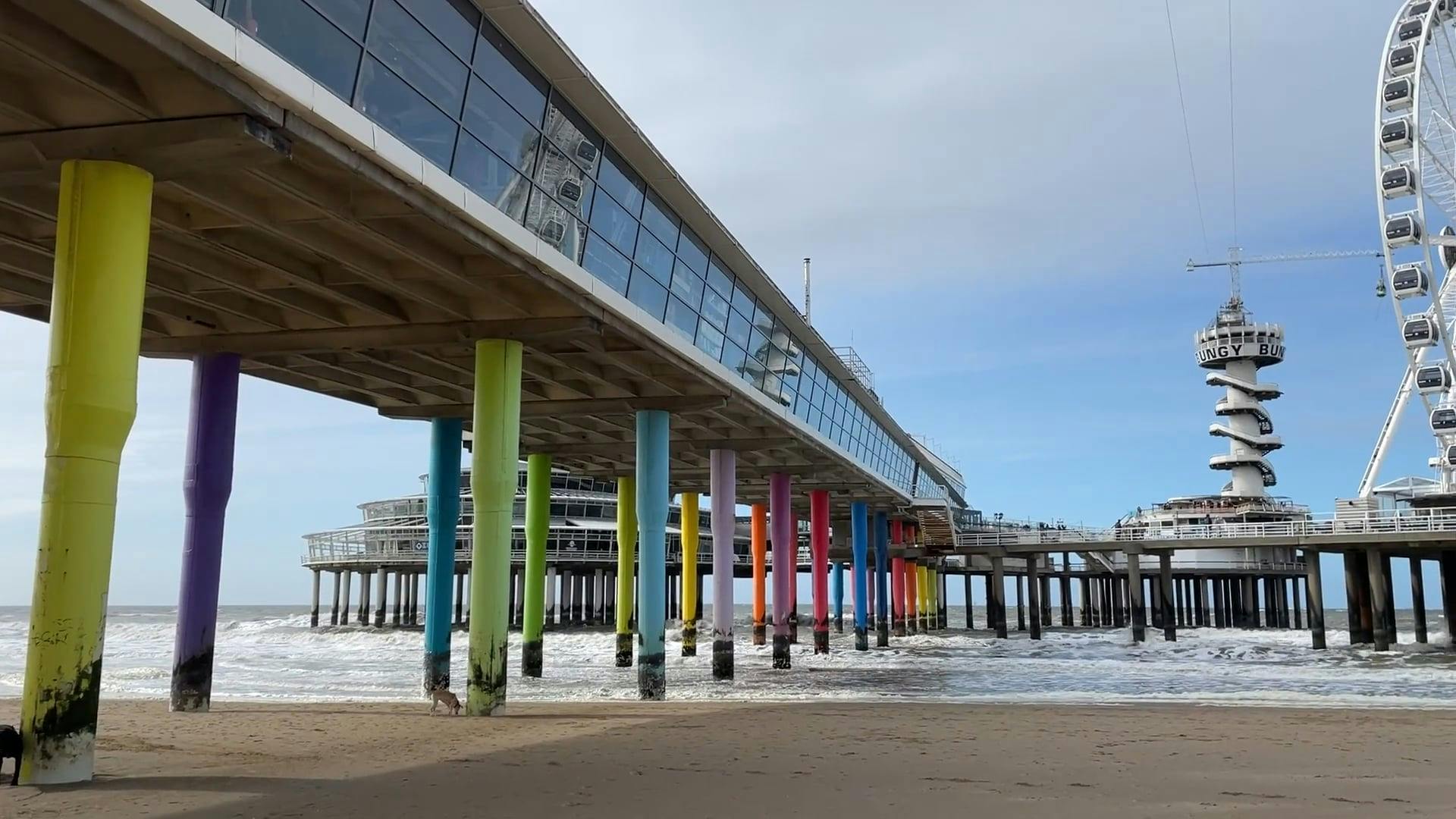 Dmitrii Pashutskii - Photography