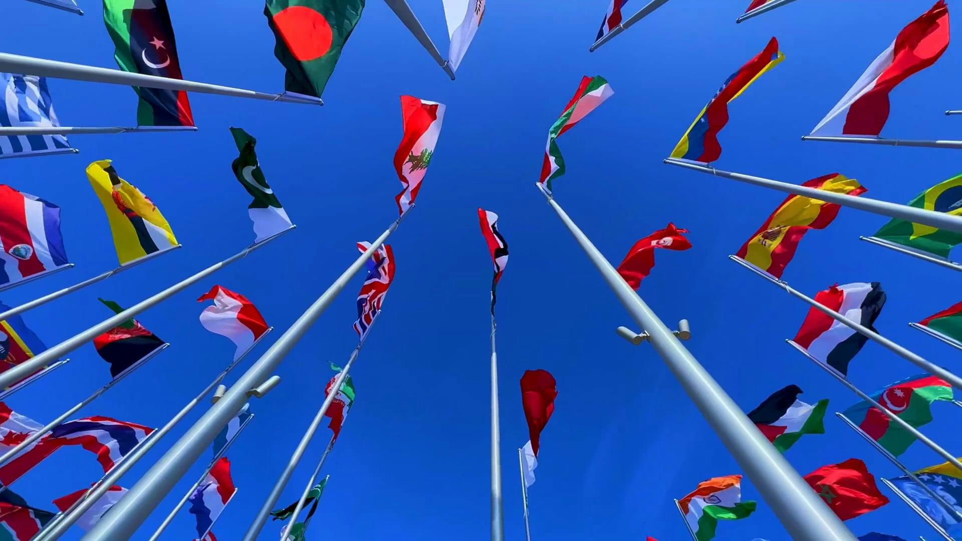 Qatar Flag Videos, Download The BEST Free 4k Stock Video Footage ...