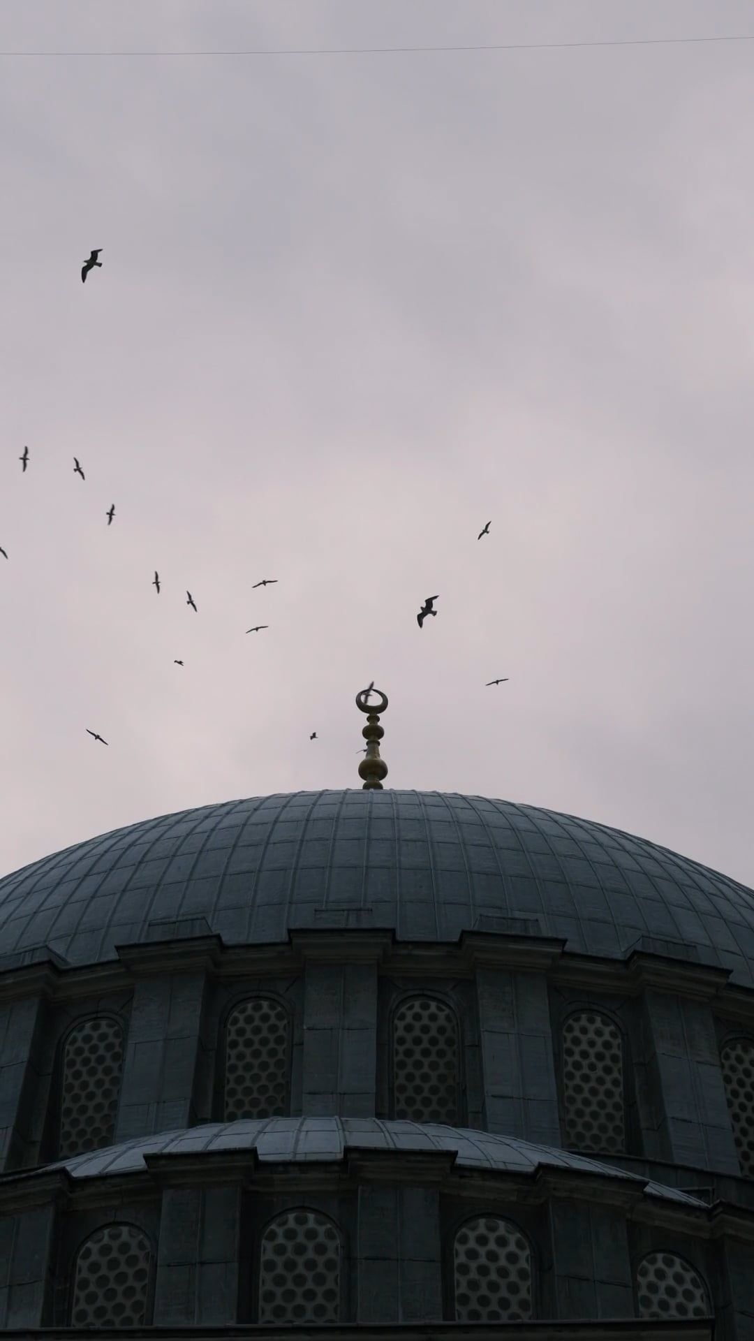 A bird flies over the dome of a mosque Free Stock Video Footage ...